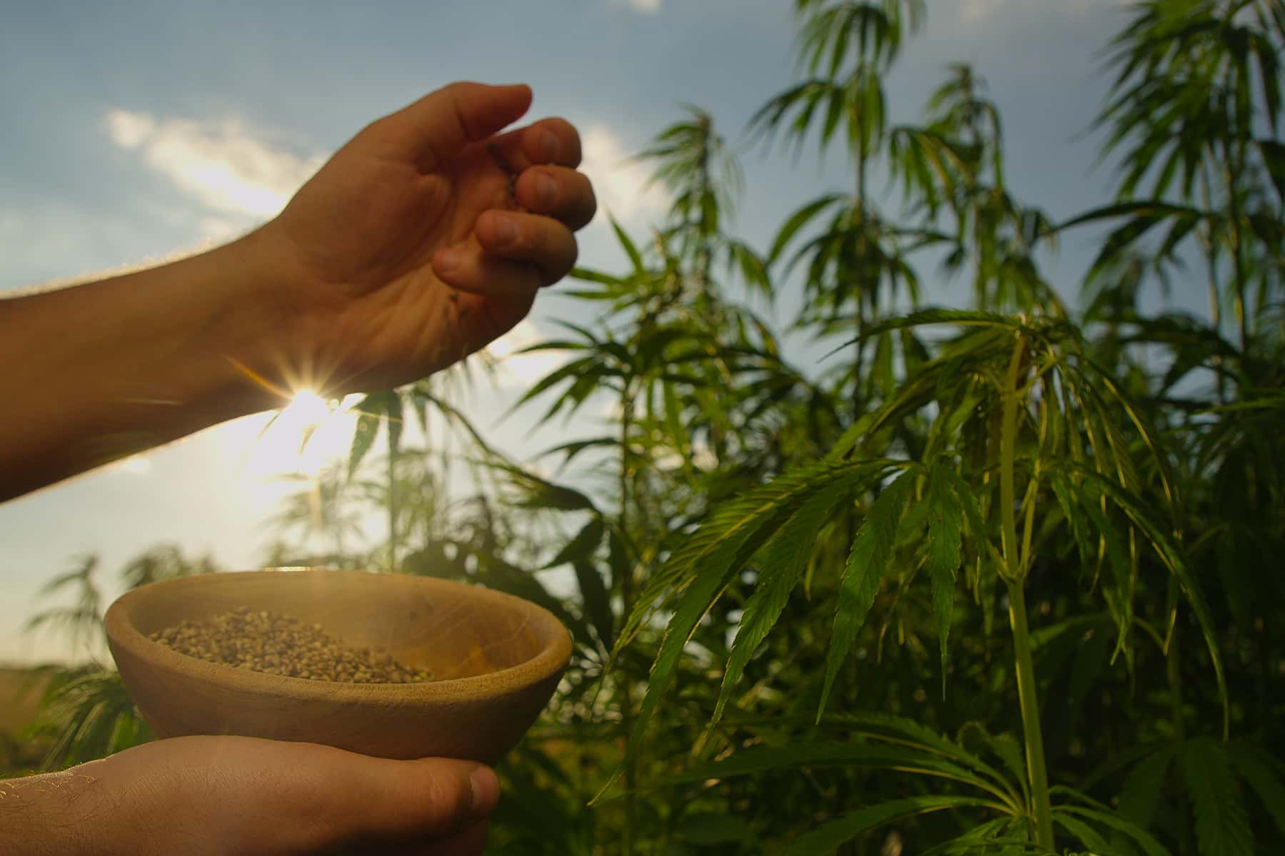 The Body Shop celebrates 10 years of hemp beauty | Canadian Living