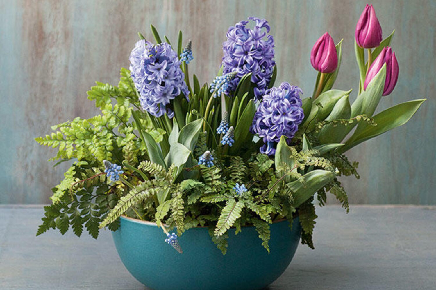 How to make a living floral arrangement | Canadian Living