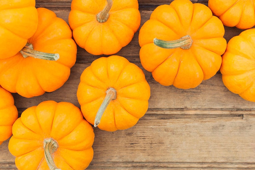 Carve the perfect pumpkin | Canadian Living
