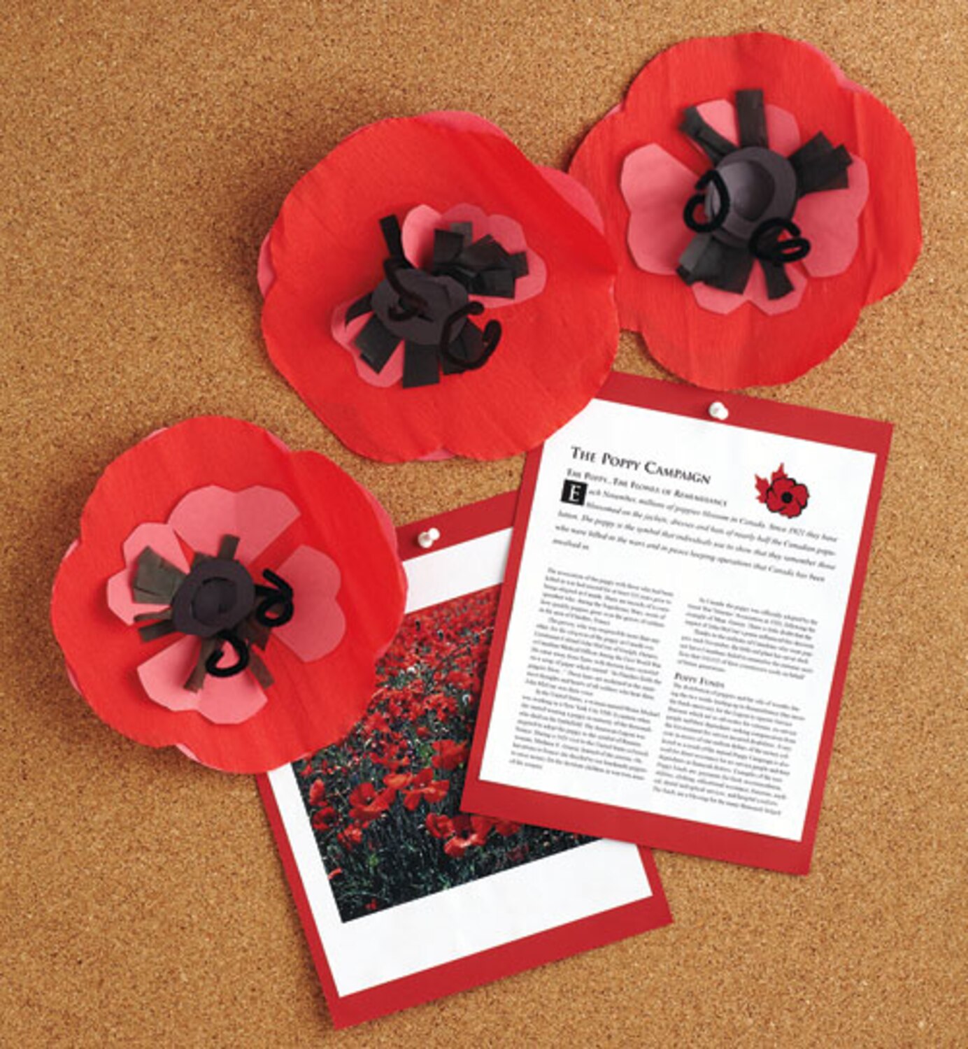 Make a Remembrance Day poppy | Canadian Living
