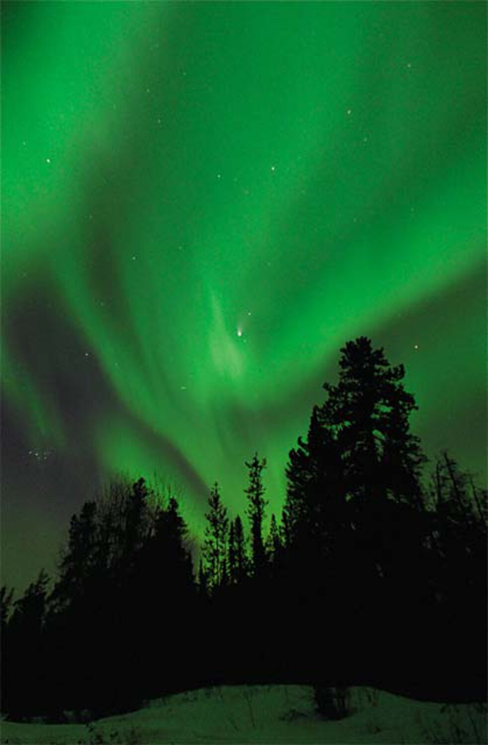 7 unique Canadian experiences | Canadian Living