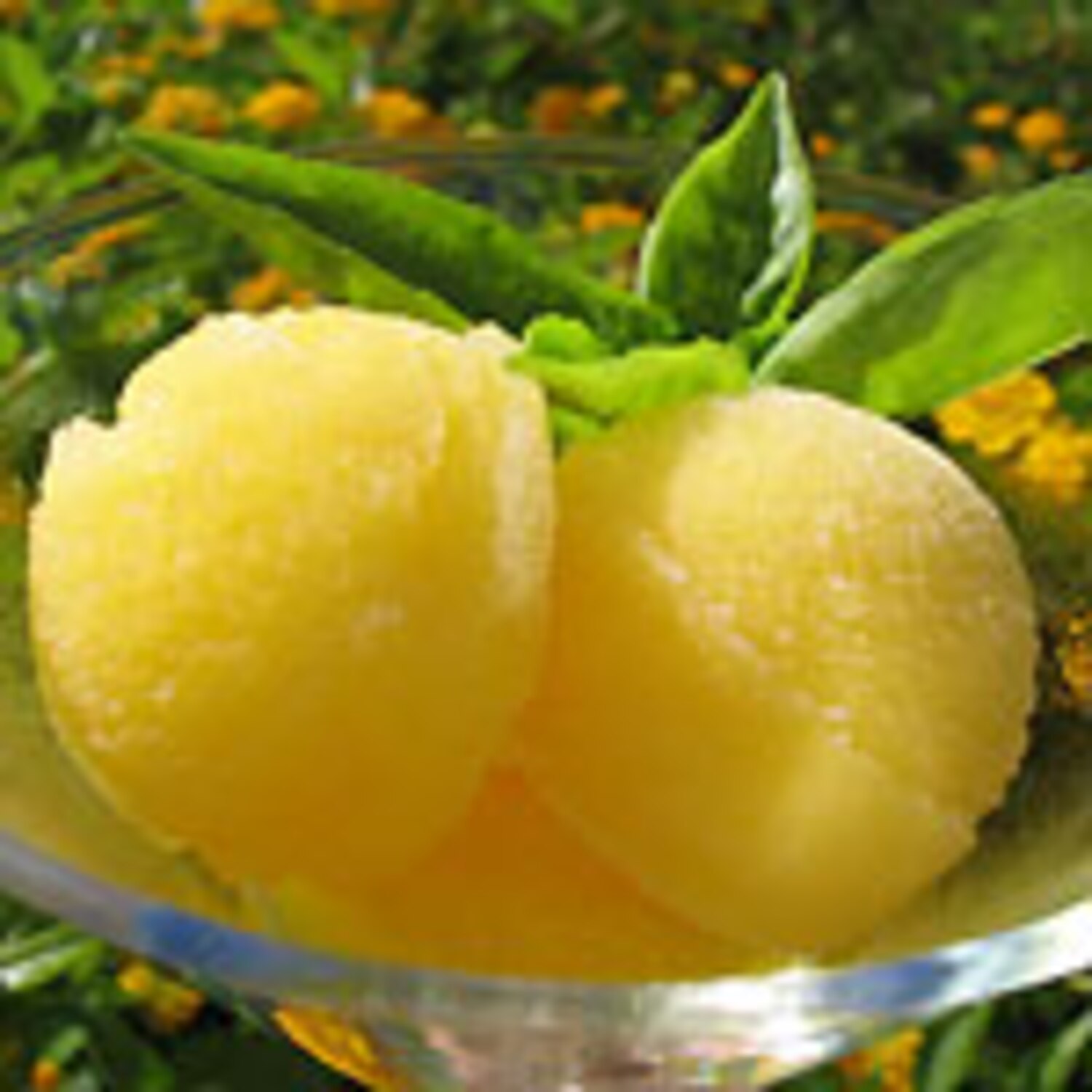 6-Week Boot Camp Menu: Day 40 | Canadian Living