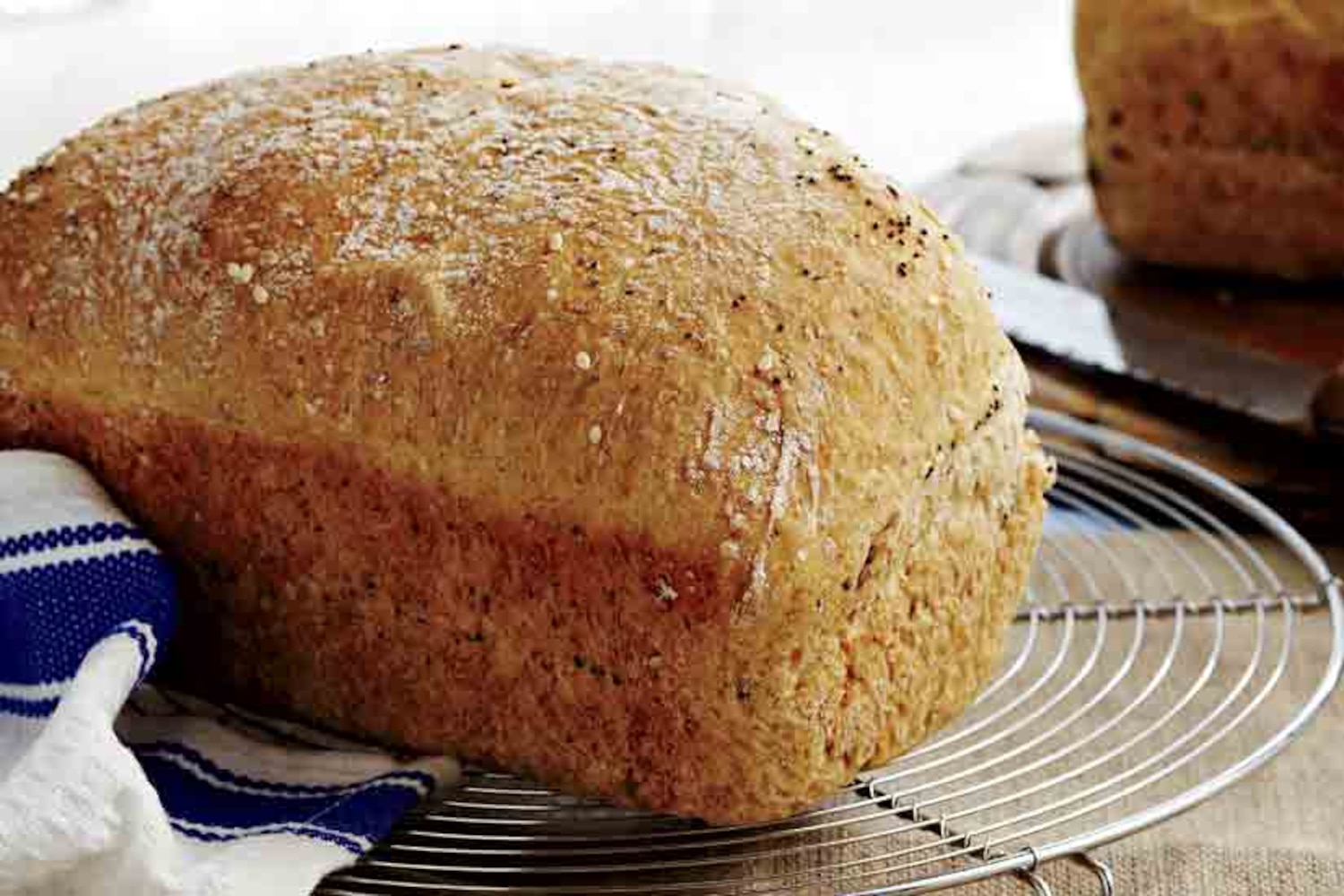Easy No-Knead Whole Wheat Sandwich Bread | Canadian Living
