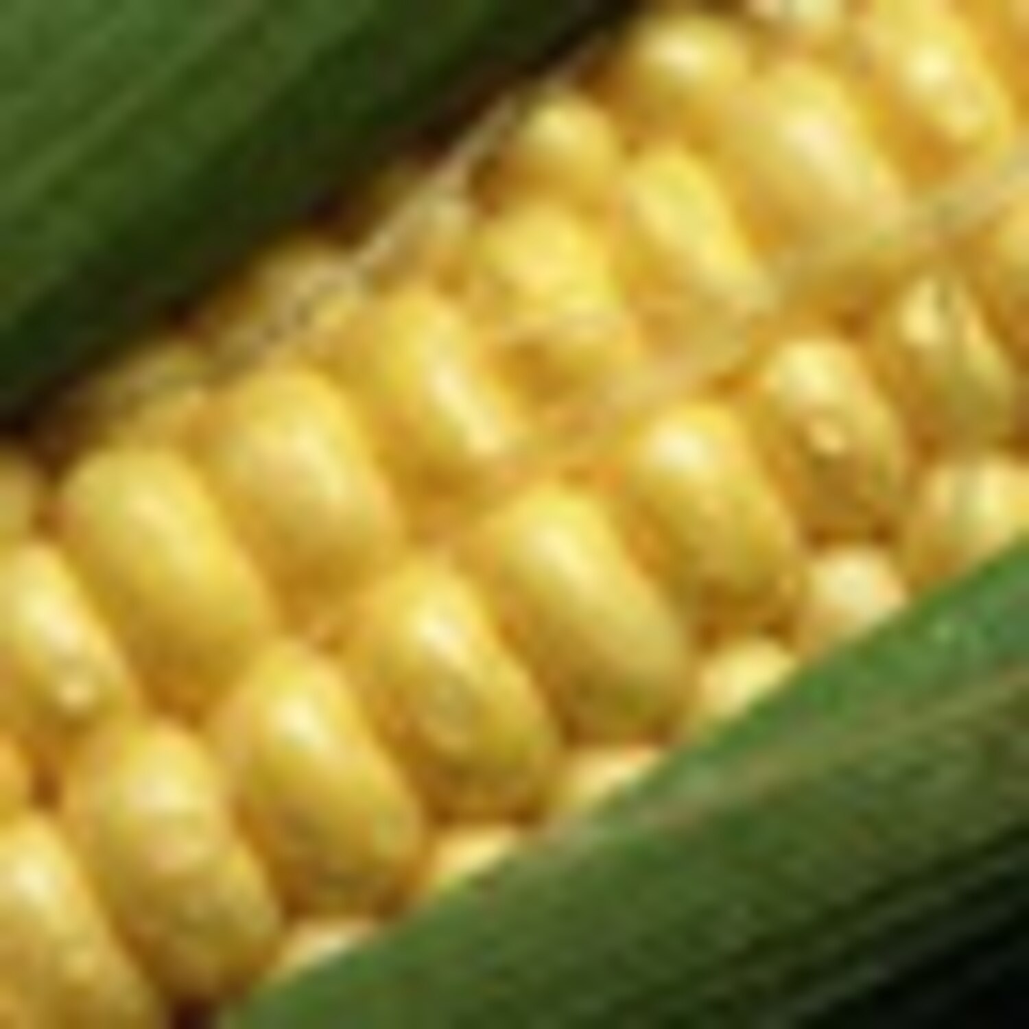 Get your 5-10 a day: Corn | Canadian Living