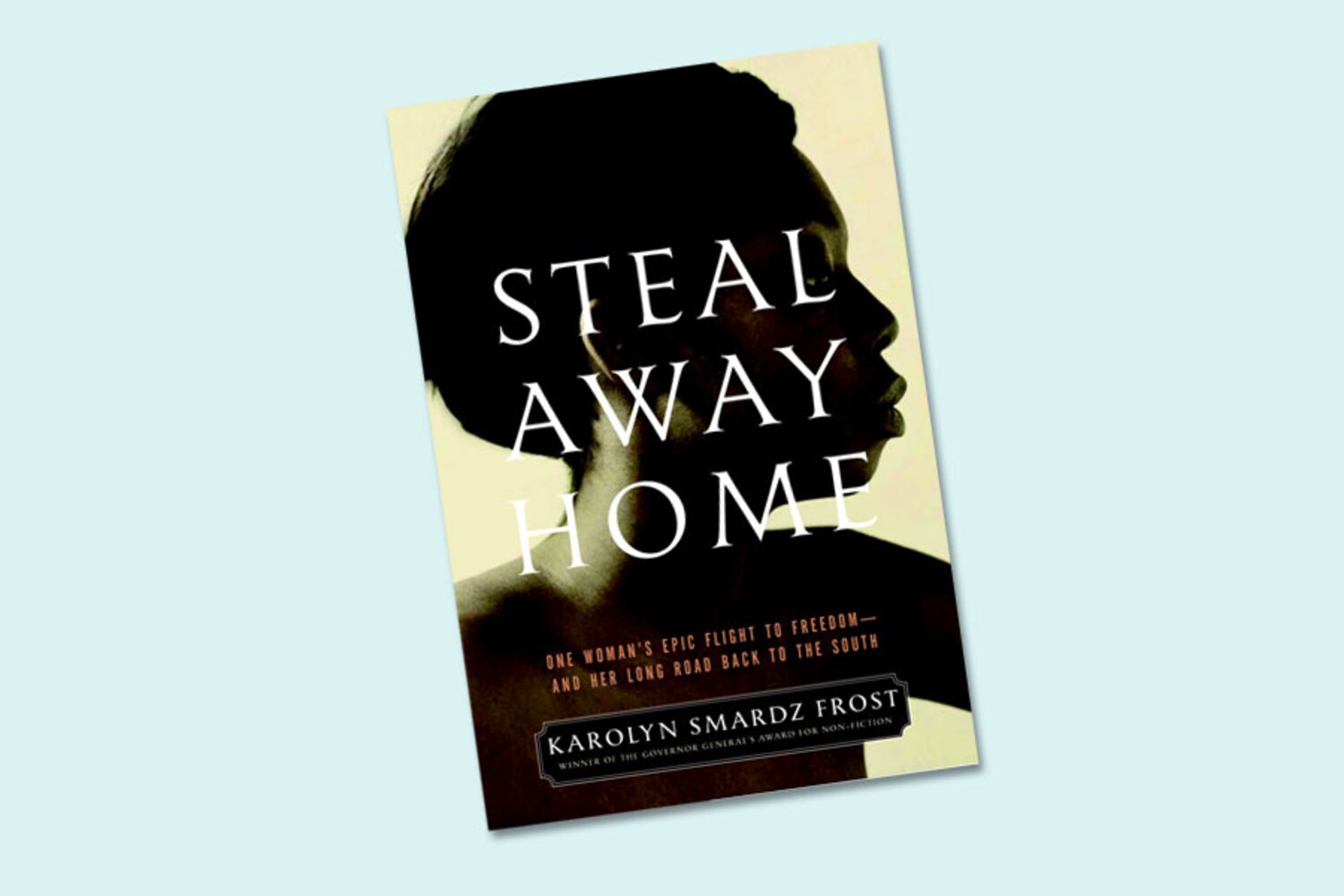 Steal Away Home: A Remarkable Story About a 15-Year-Old Girl Who Chose ...