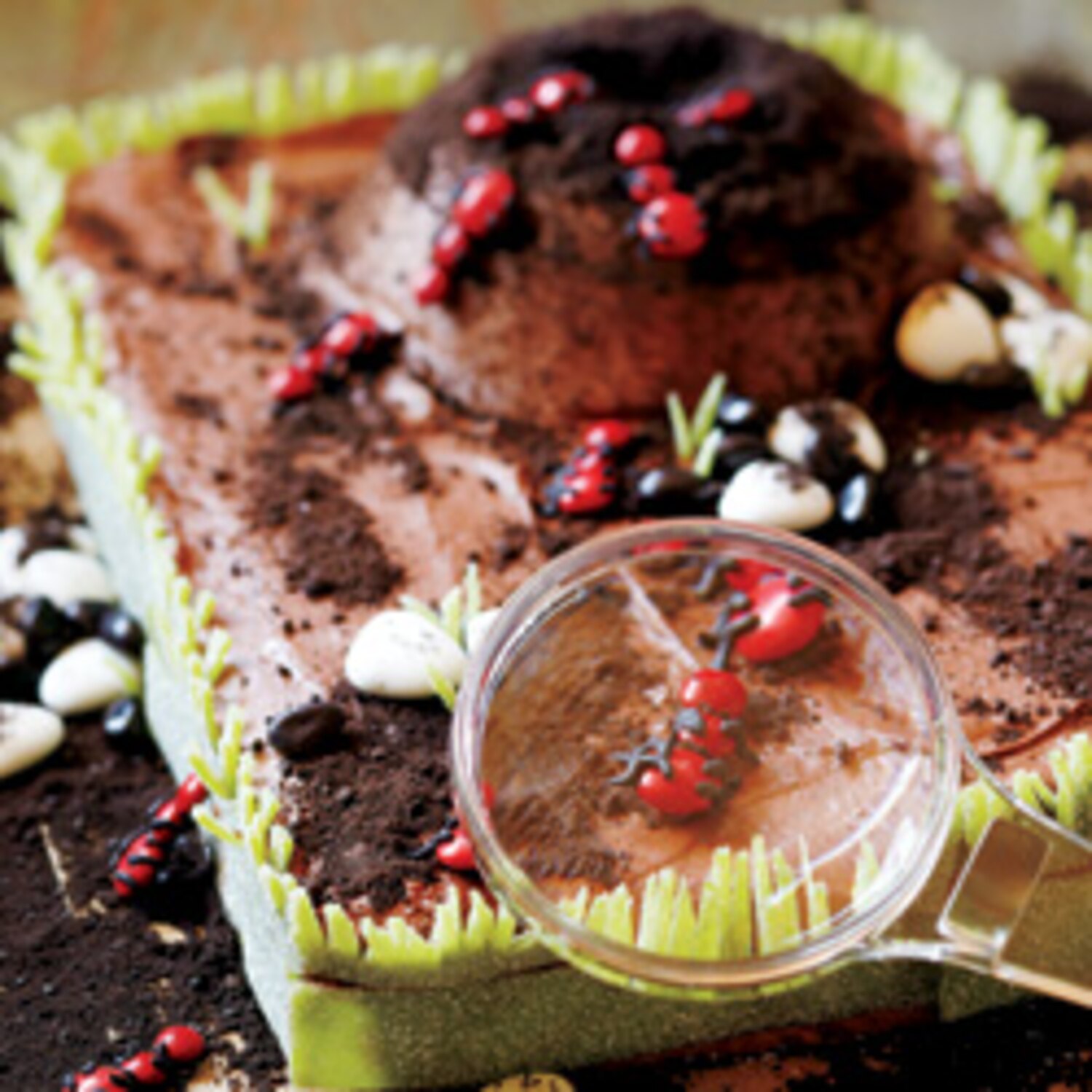 Fire Ant Anthill Cake | Canadian Living