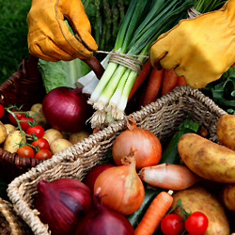 The Ultimate Guide to Gardening for Beginners | Canadian Living