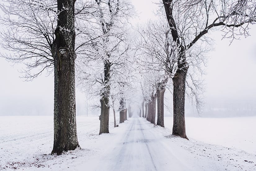 A guide to Prince Edward County in the Winter: Where to stay, eat ...