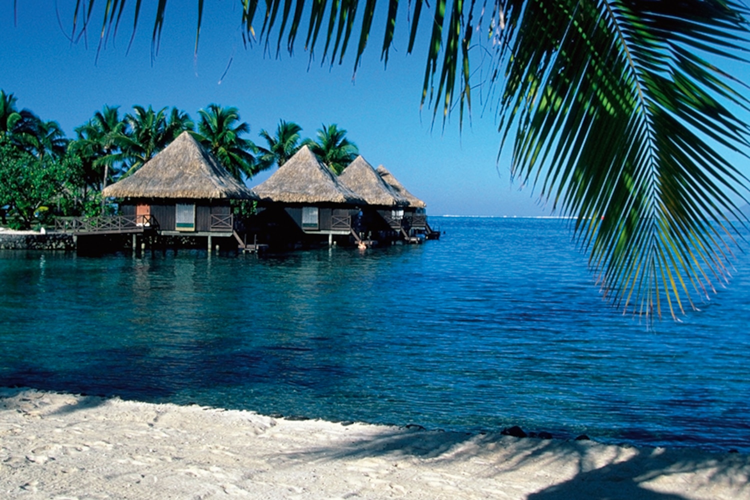 21 Christmas vacations for every price point | Canadian Living