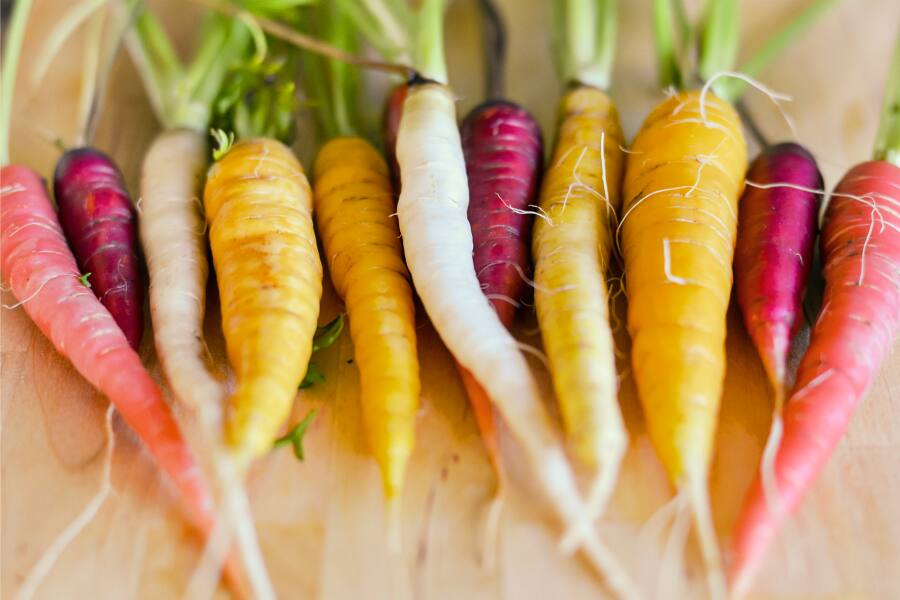 How to start a vegetable garden | Canadian Living