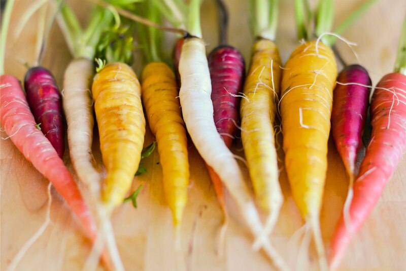 The Ultimate Guide to Gardening for Beginners | Canadian Living