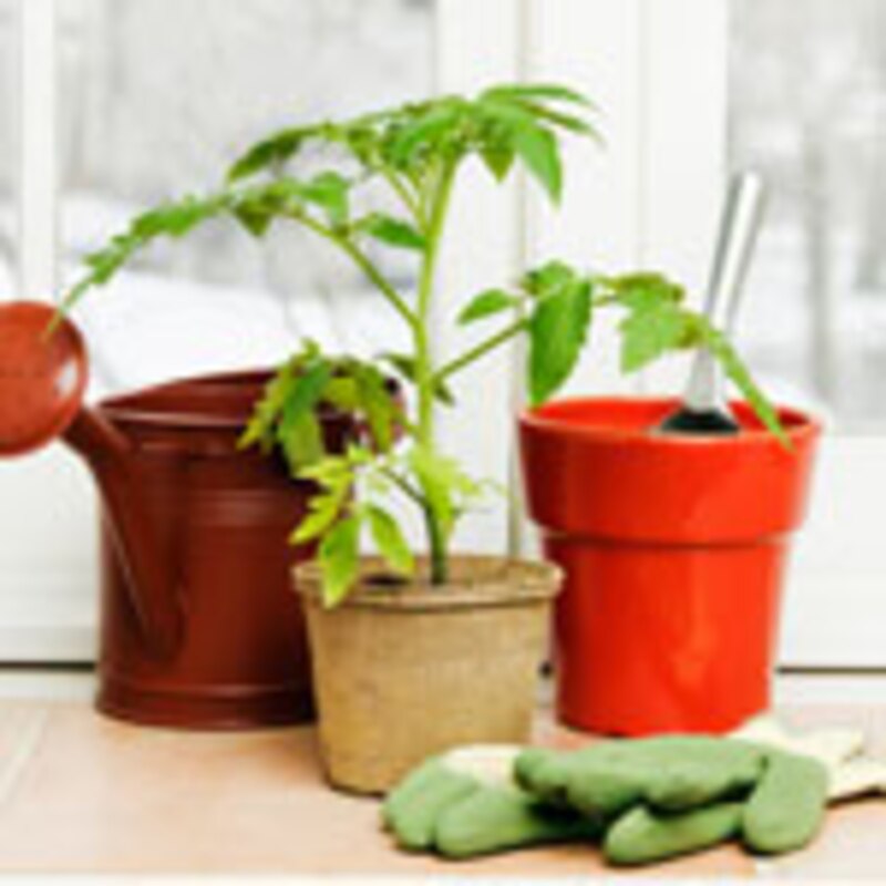 The Ultimate Guide to Gardening for Beginners | Canadian Living