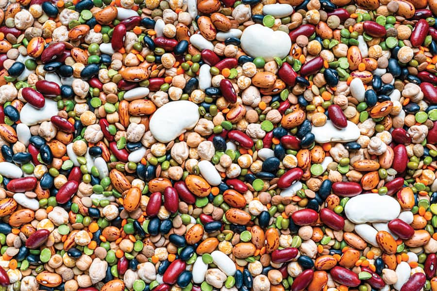 How to Add pulses To your Diet | Canadian Living