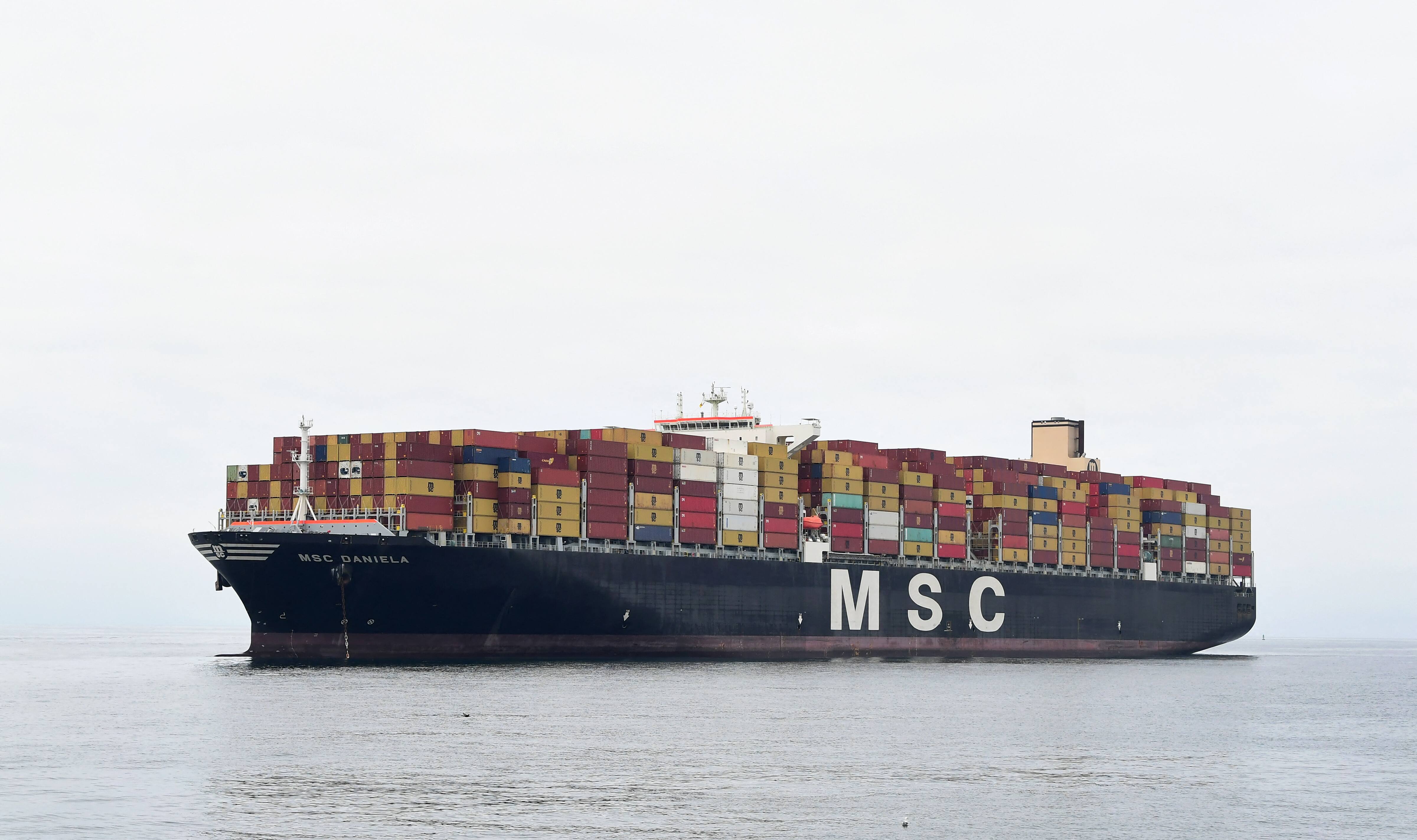 L'armateur MSC Mediterranean Shipping suspend les cargaisons vers la ...