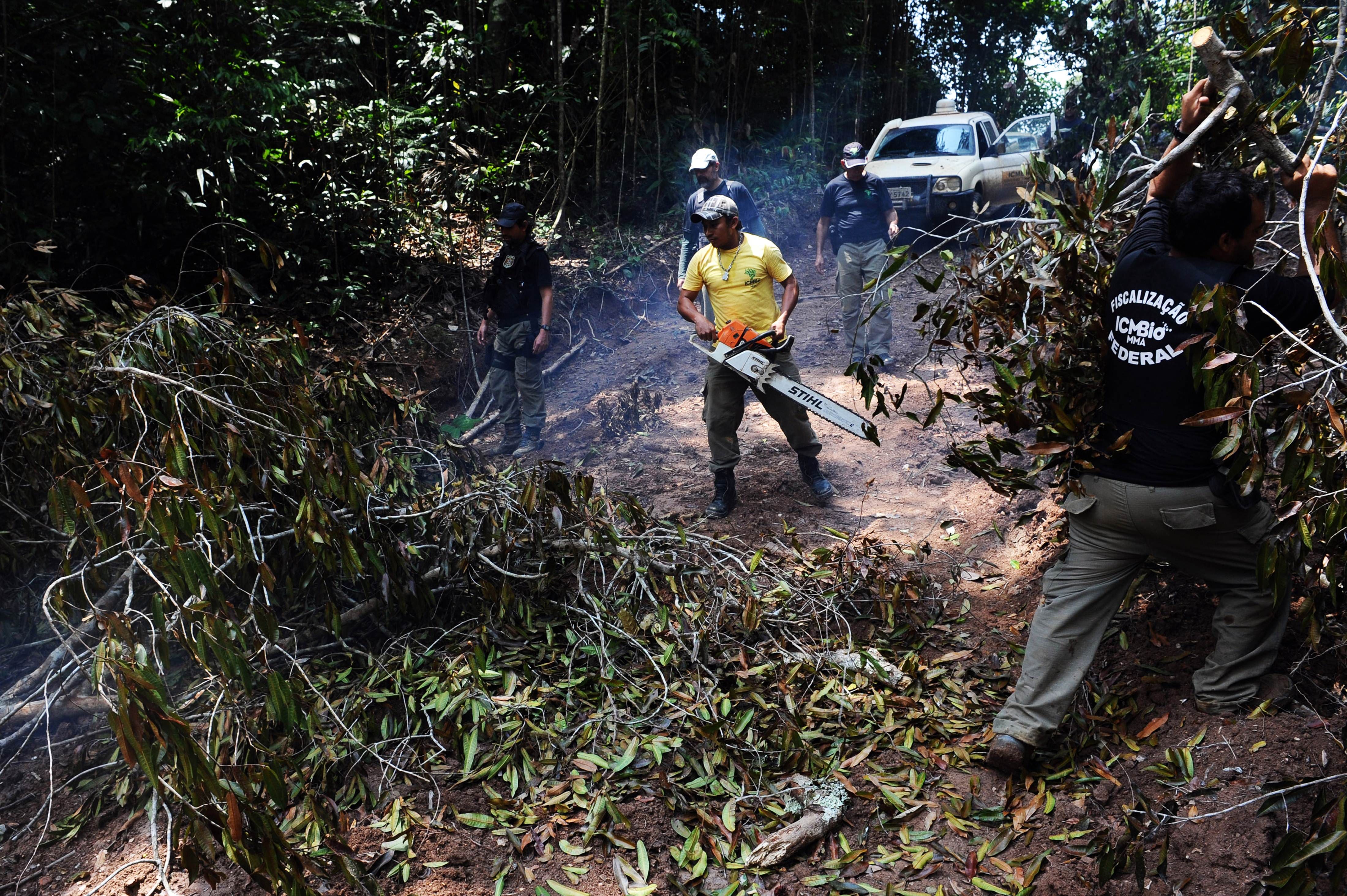 La destruction de la forêt tropicale en forte hausse en 2020: ce qu'il ...