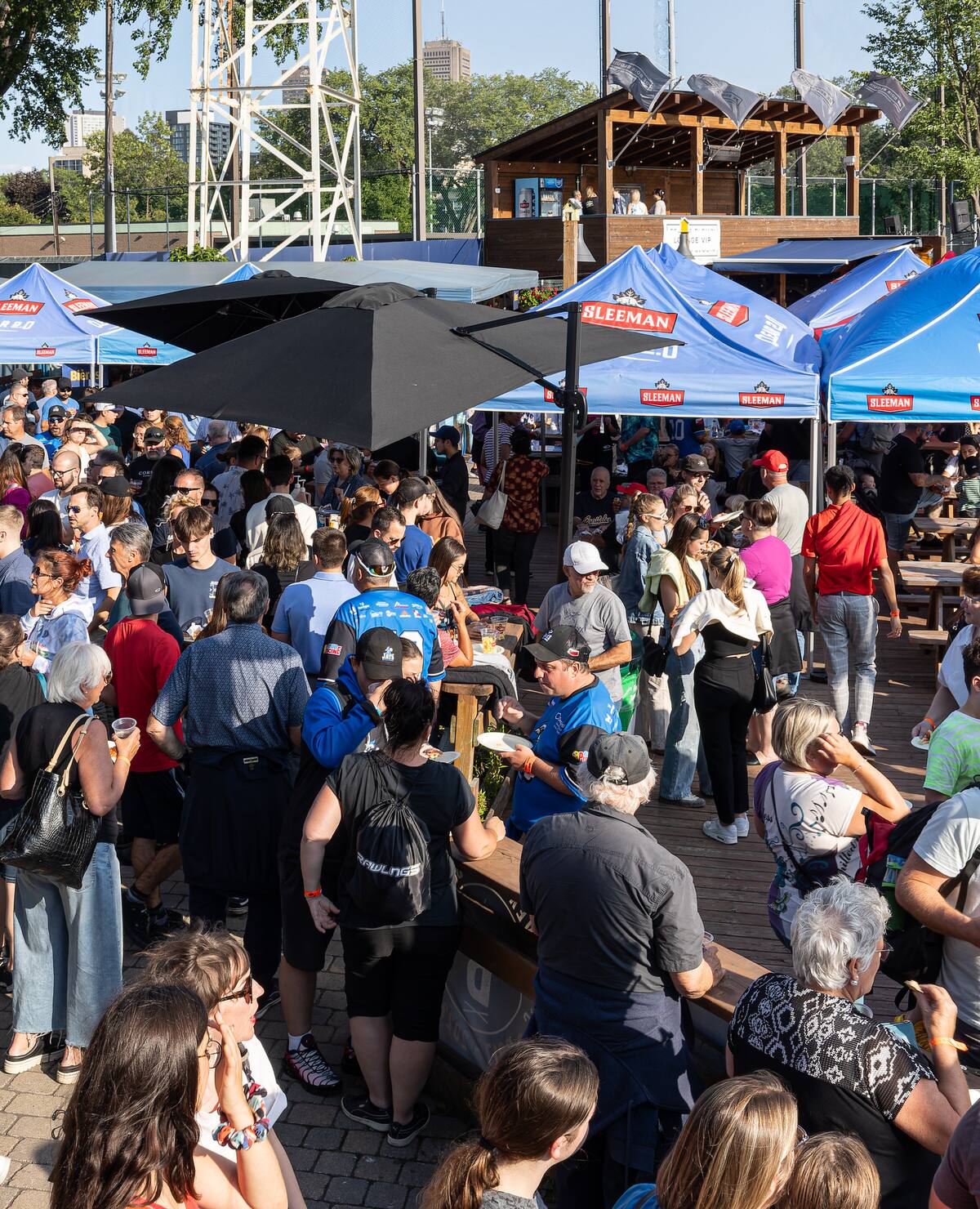 Folie pour le baseball à Québec : du jamais-vu en 25 ans chez les ...