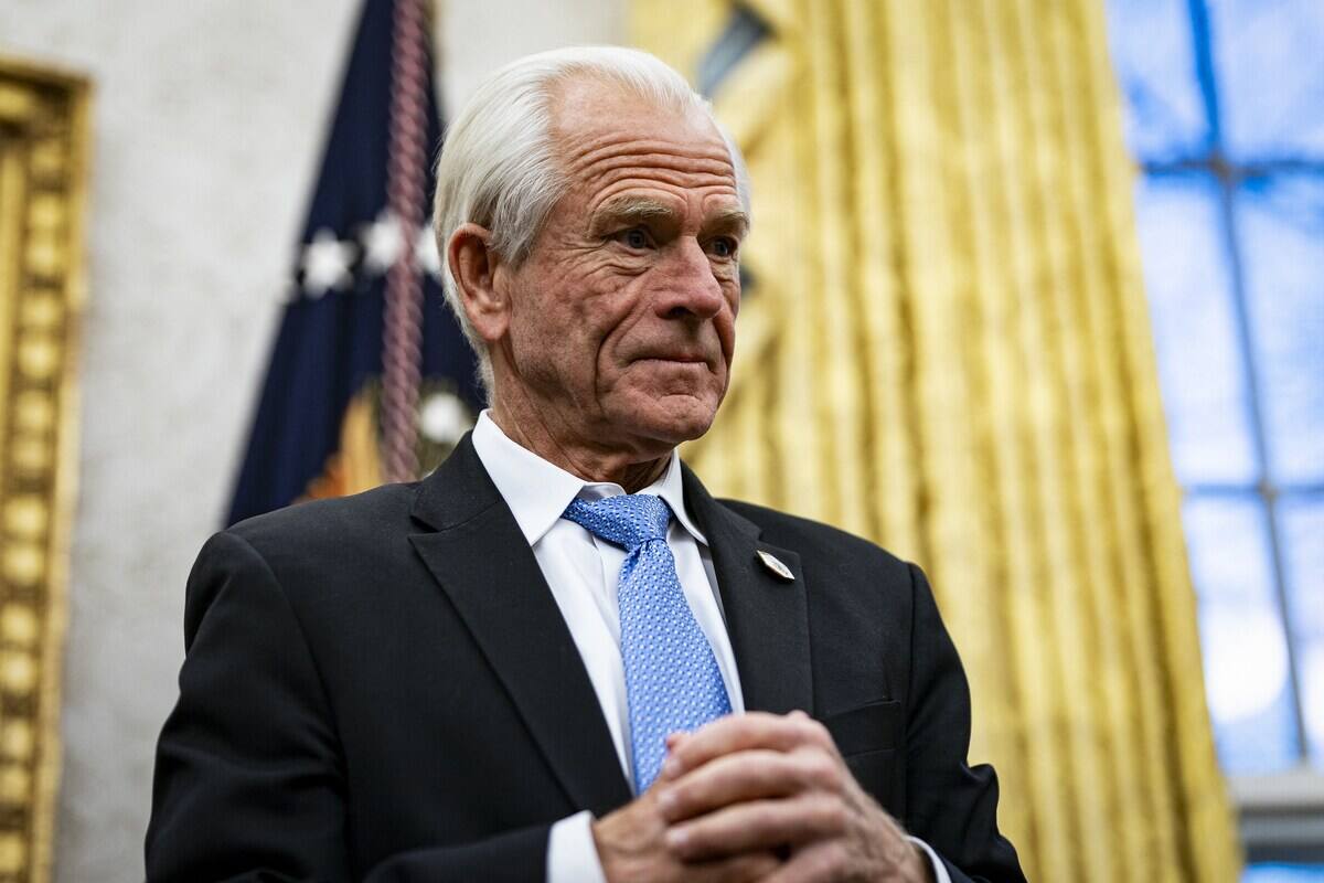 Conseiller spécial du président Trump: qui est Peter Navarro, alias M ...