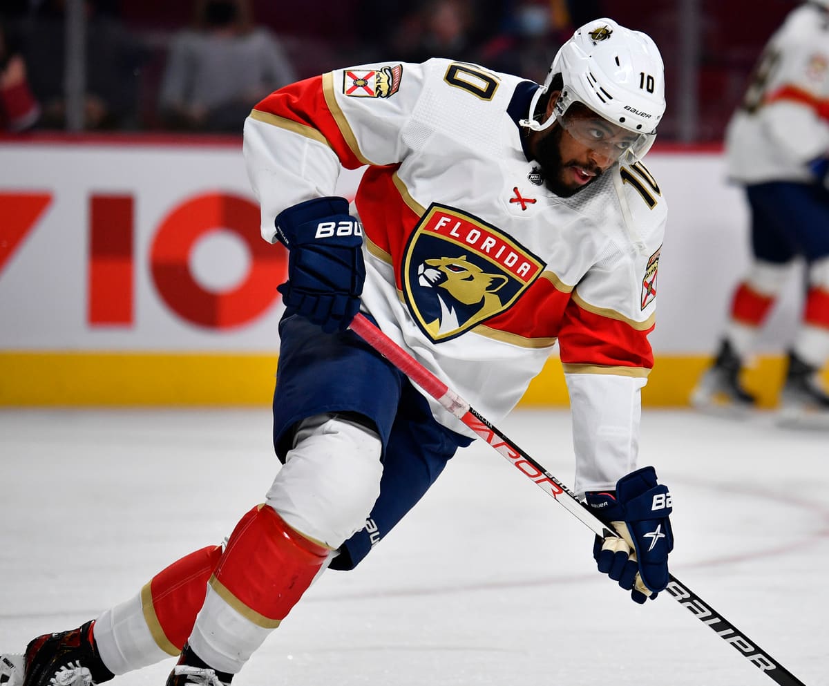 Panthers: une meilleure version d’Anthony Duclair | JDM
