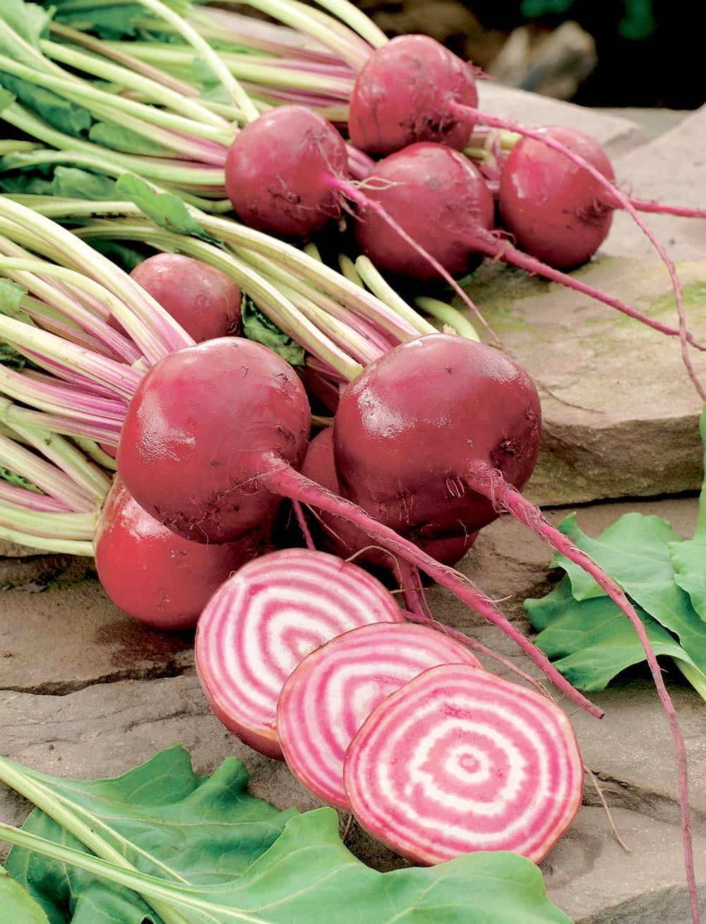 Cinq légumes roses à ajouter à votre potager | JDQ