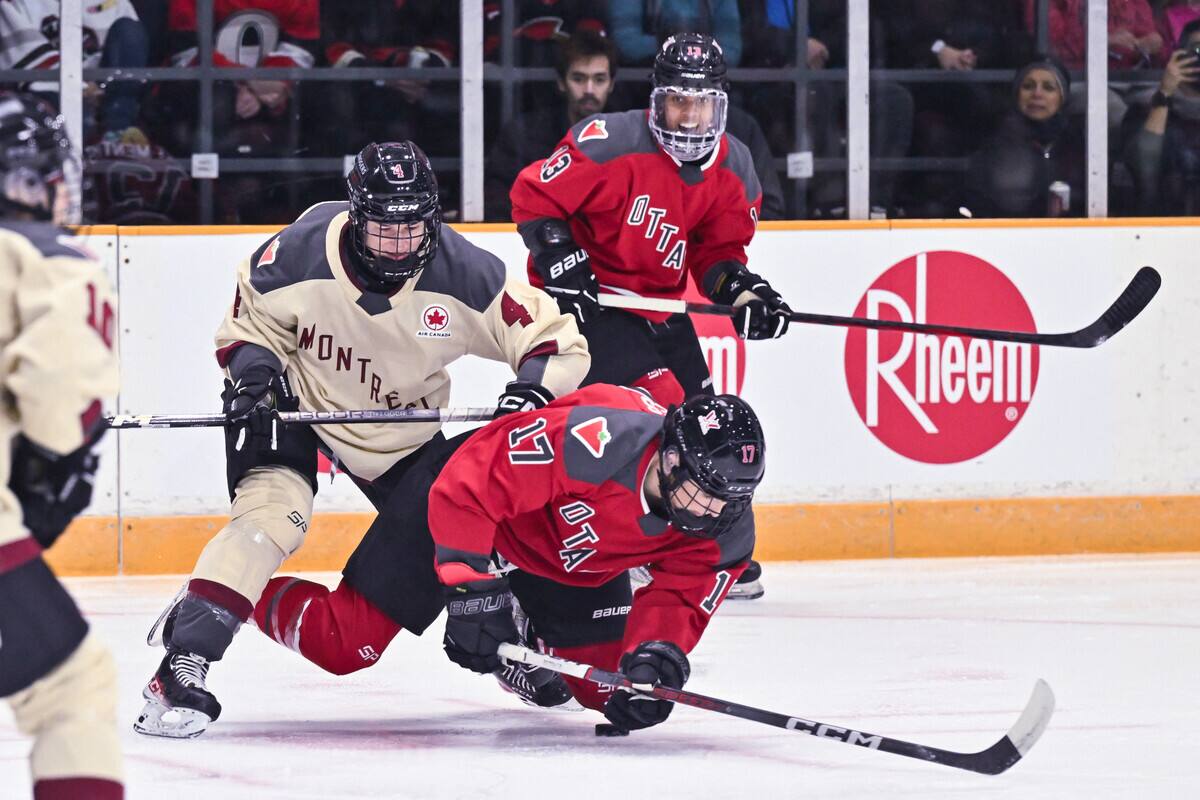 LPHF: Un règlement à double tranchant | JDM