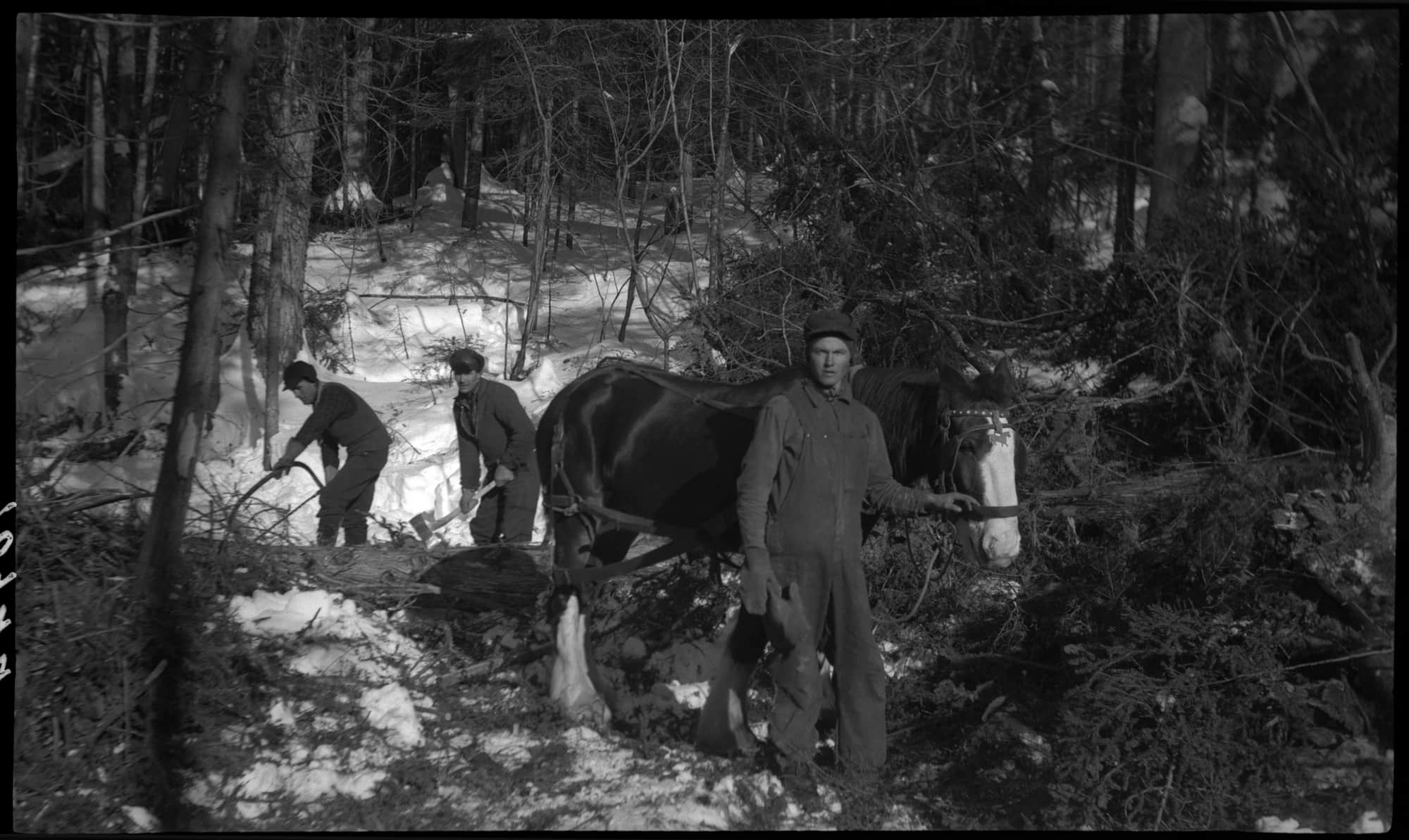 L'hiver arrive: voici 10 traditions québécoises d'antan | JDQ