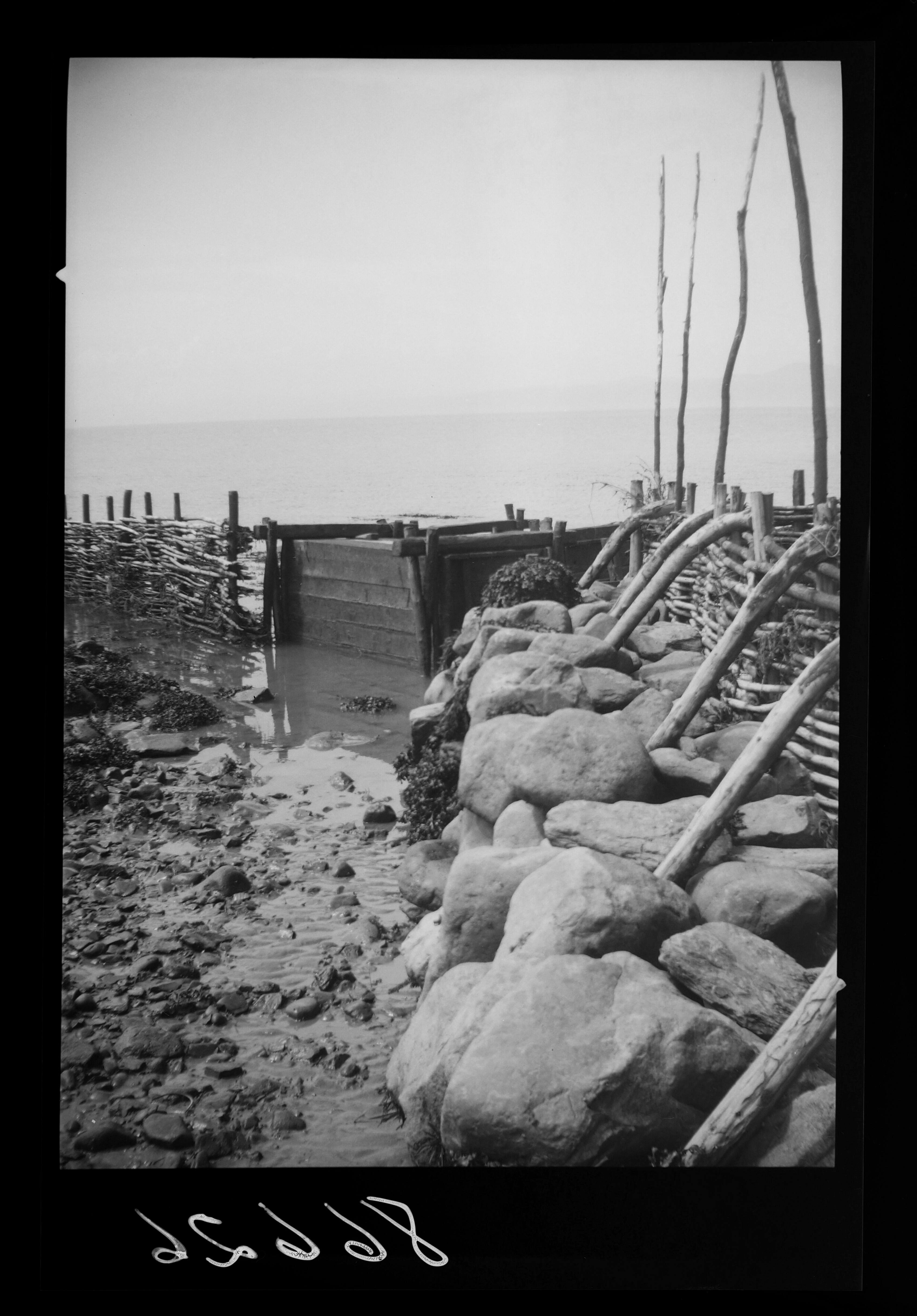[EN IMAGES] Voici l’histoire de la pêche à l’anguille dans le fleuve ...