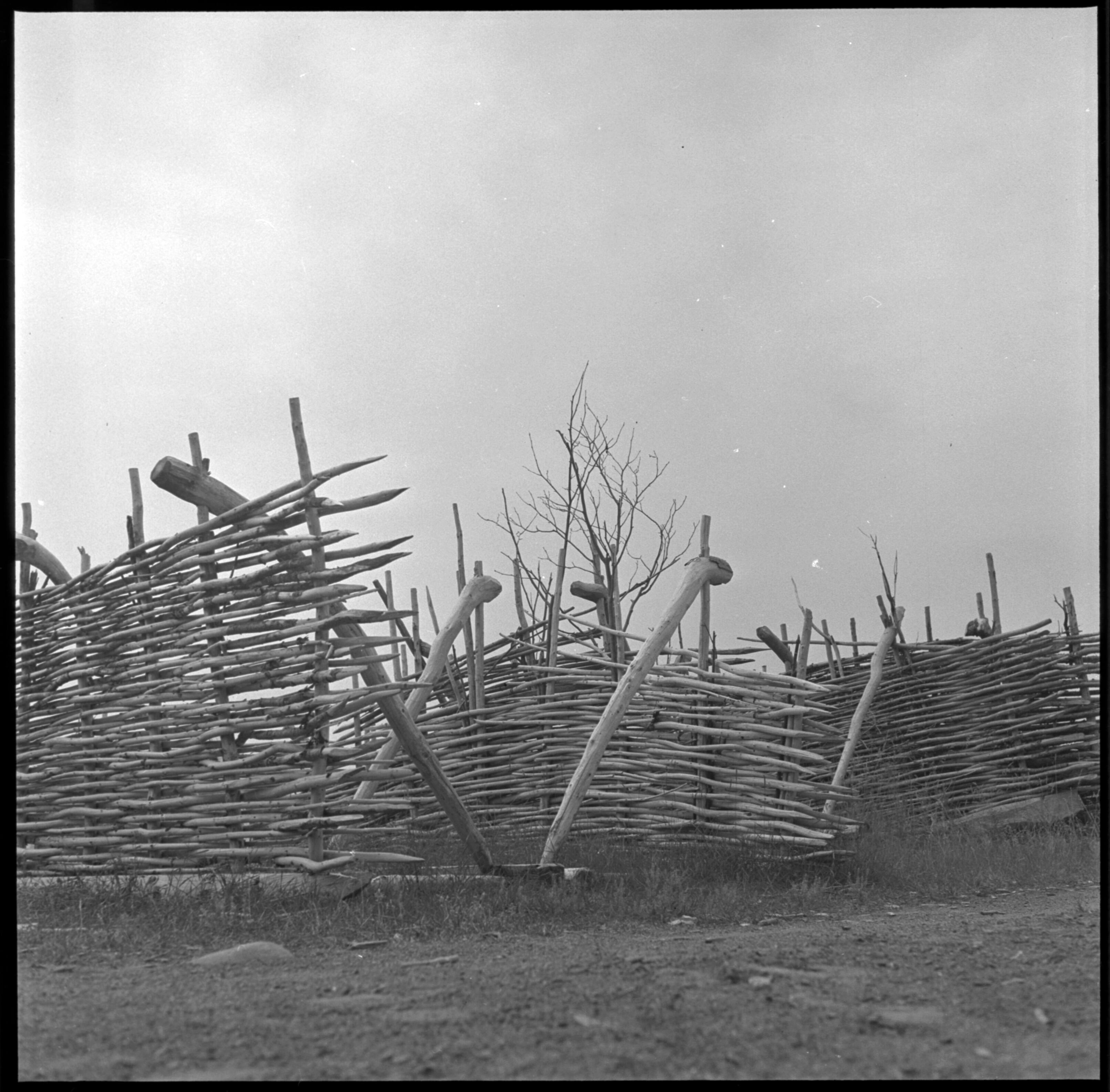 [EN IMAGES] Voici l’histoire de la pêche à l’anguille dans le fleuve ...
