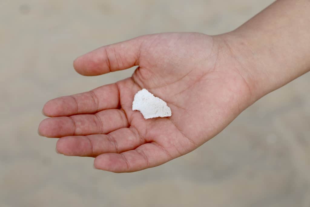 Une deuxième vie pour la styromousse | TVA Nouvelles