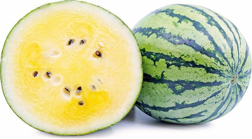 Comment faire pousser du melon dans son potager: un fruit pour les ...