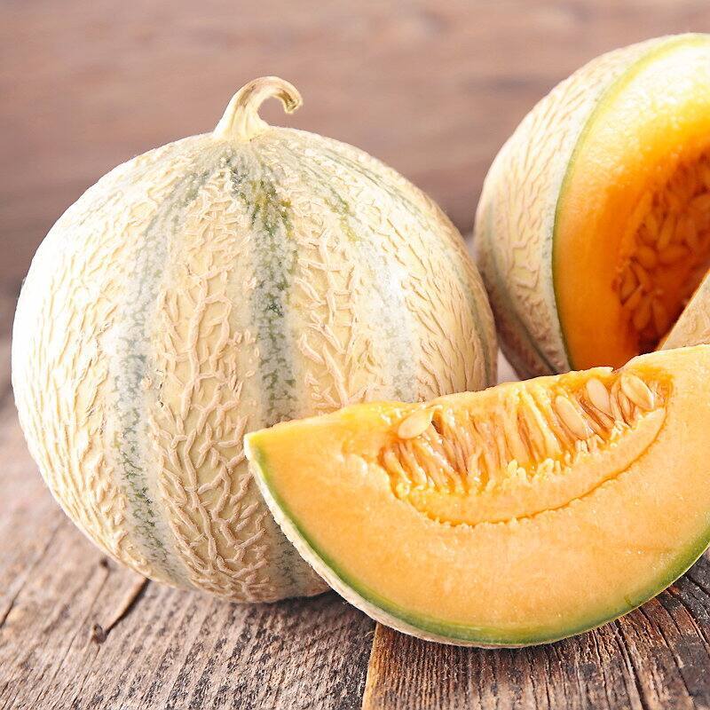 Comment faire pousser du melon dans son potager: un fruit pour les ...