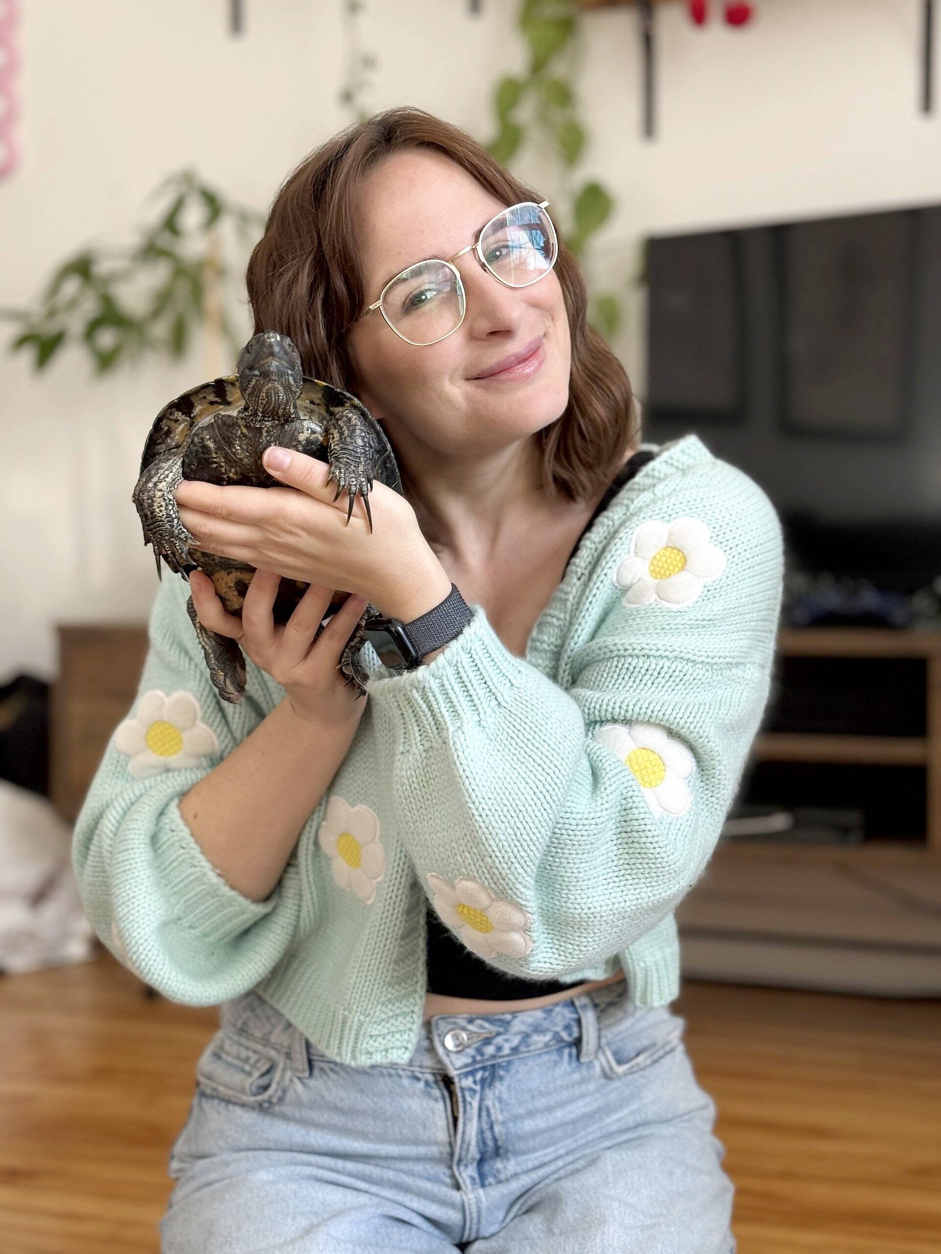 Réjean, la tortue rigolote d’Audrée Archambault | JDQ