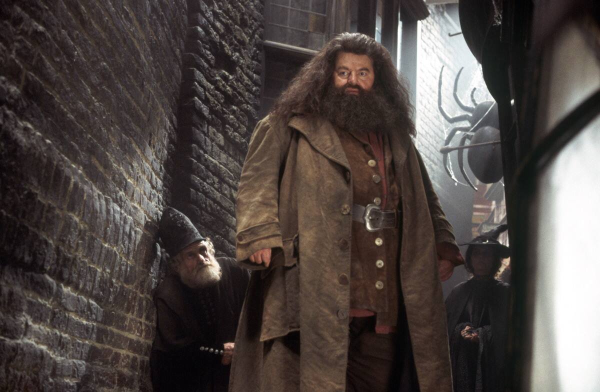 21 acteurs adorés de la saga Harry Potter qui sont aujourd’hui décédés ...