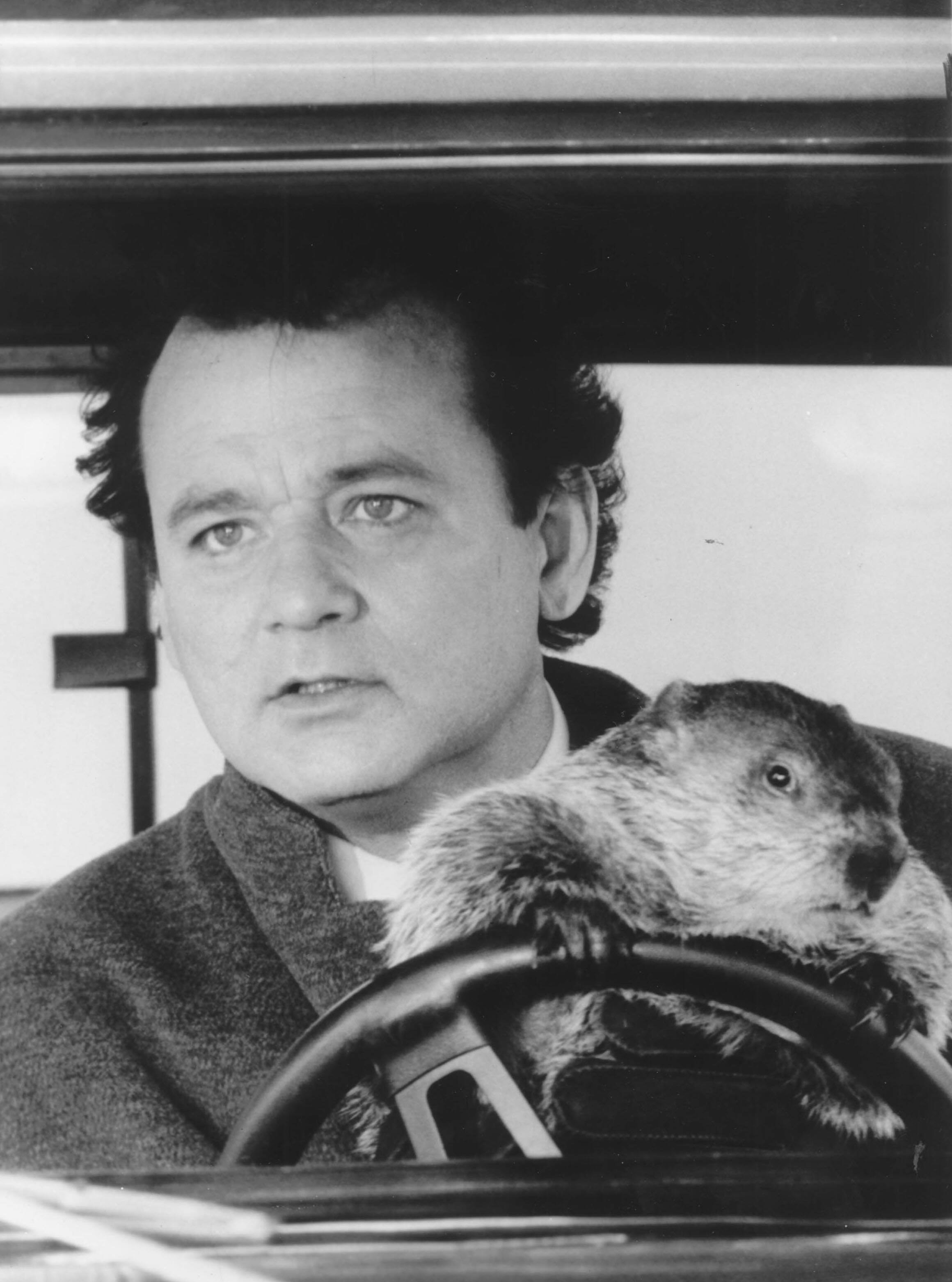 Ciné nostalgie: «Le jour de la marmotte» célèbre ses 30 ans | JDM