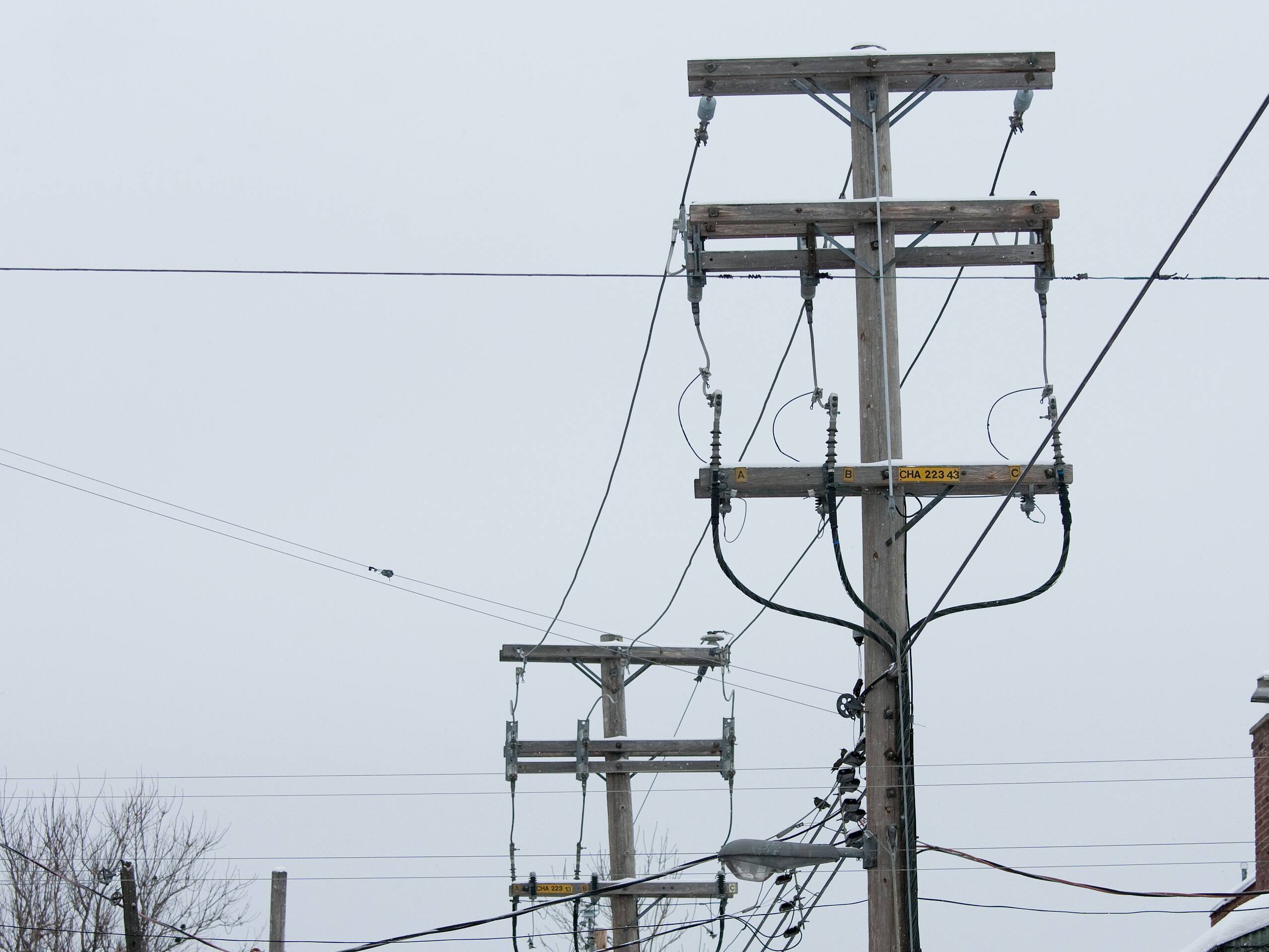 Transition énergétique: une étude plaide pour l’électricité pour ...