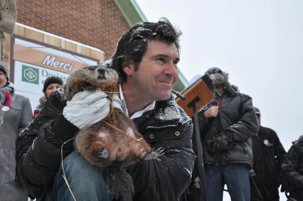 Jour de la Marmotte: d’où vient la curieuse tradition | JDQ