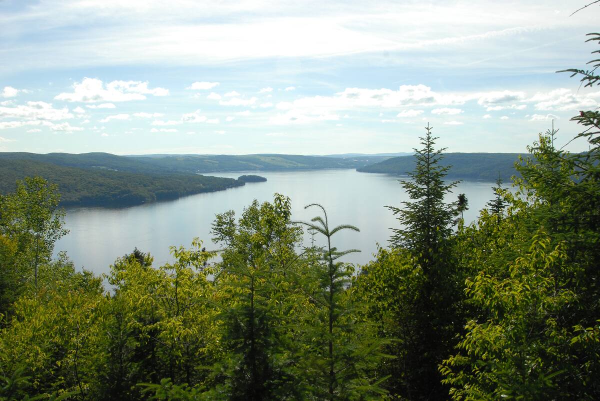 Un nouvel outil pour suivre la biodiversité québécoise | JDM