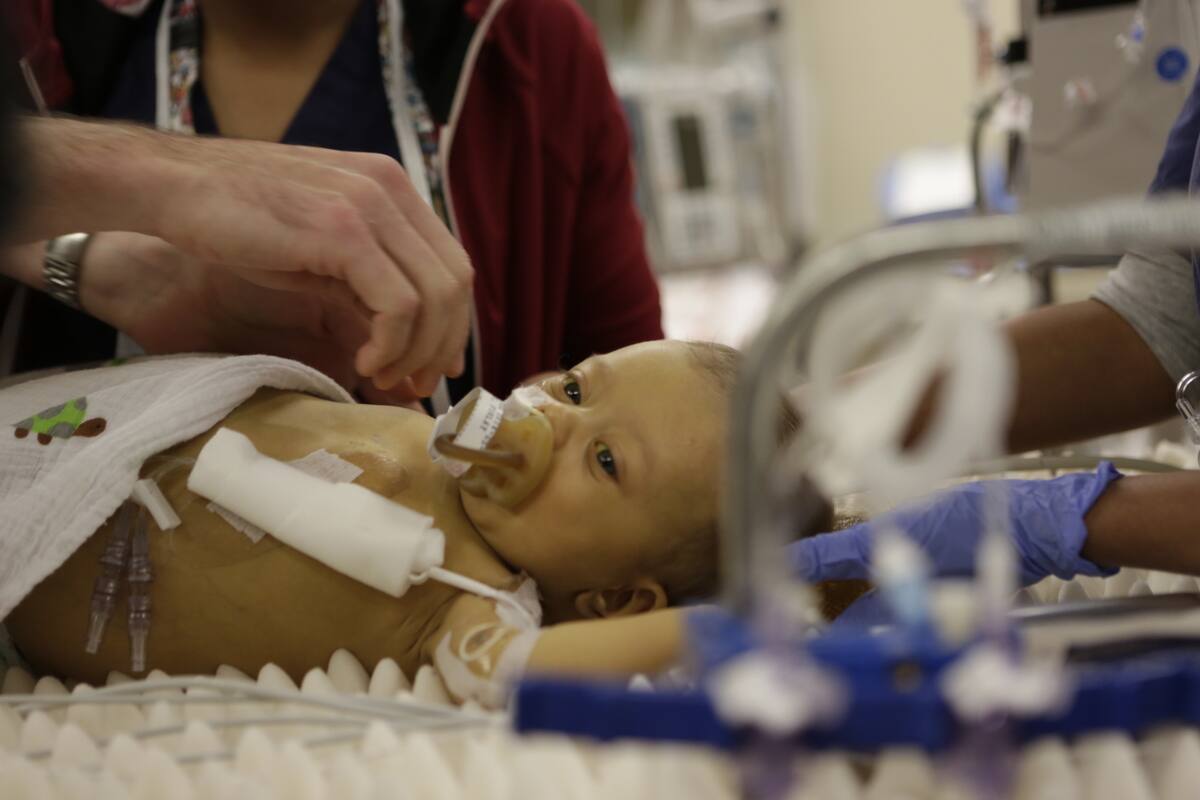 Un demi-million de Québécois touchés par une maladie rare | JDQ