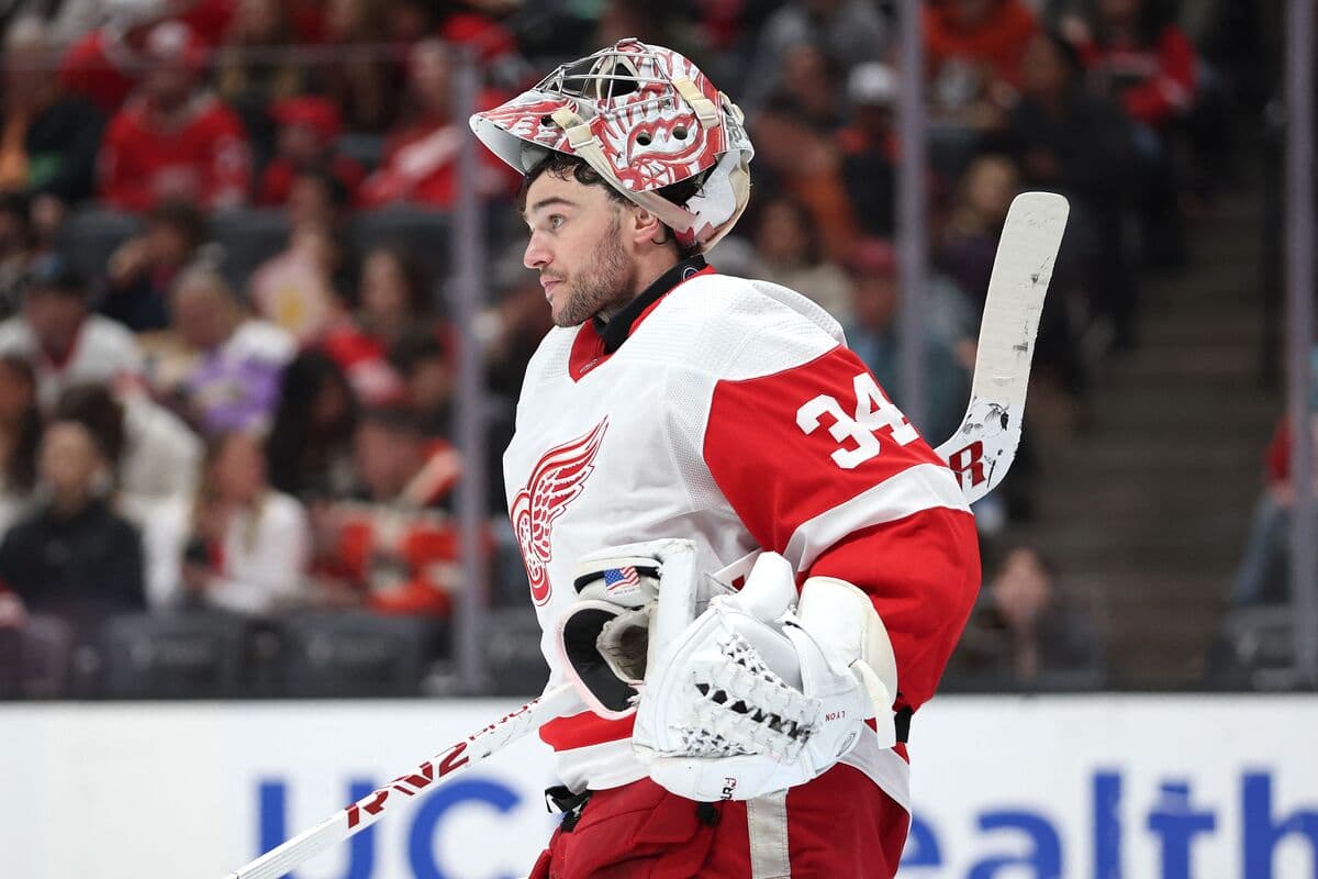 Une victoire importante des Red Wings | JDM