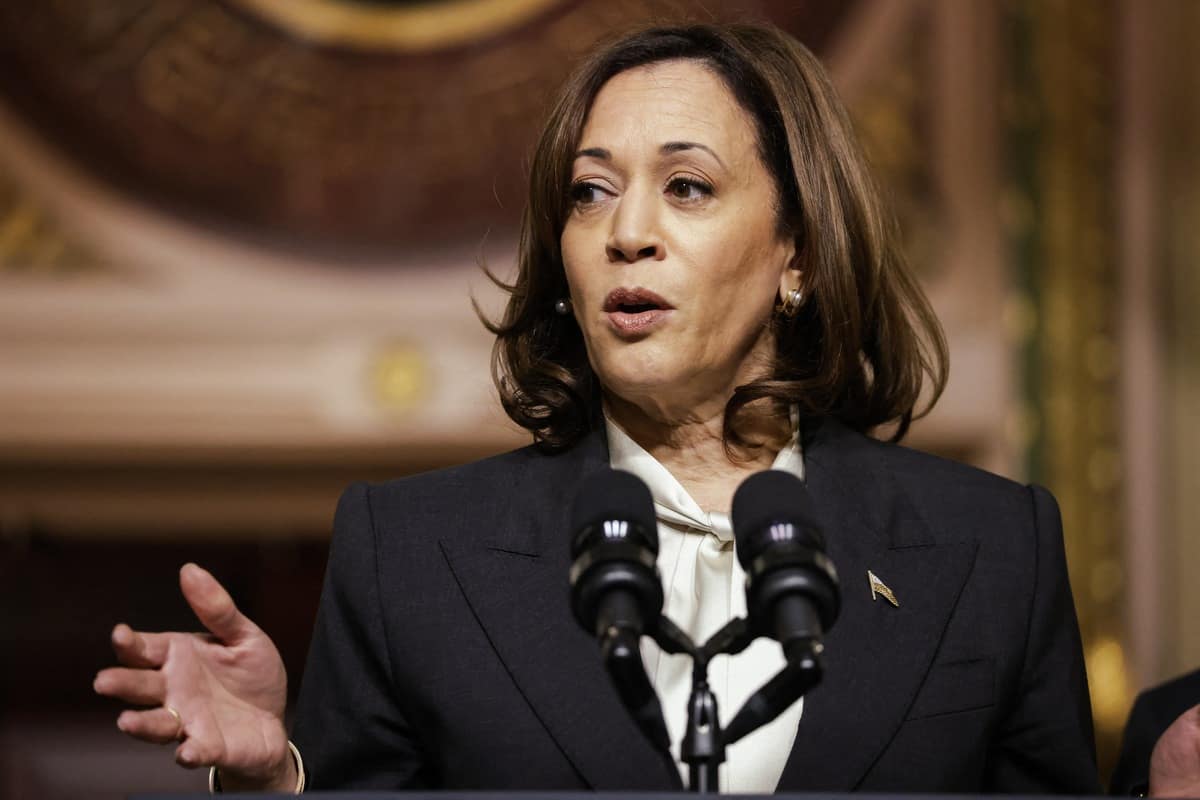 Vice-présidente recherche vice-président: qui pour seconder Kamala ...