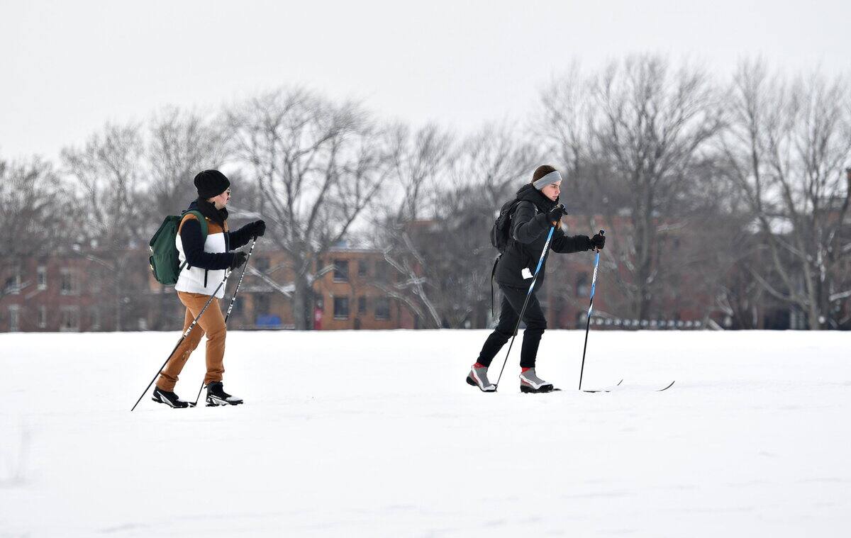 Conditions hivernales: six fois moins de neige au sol que d’habitude à ...