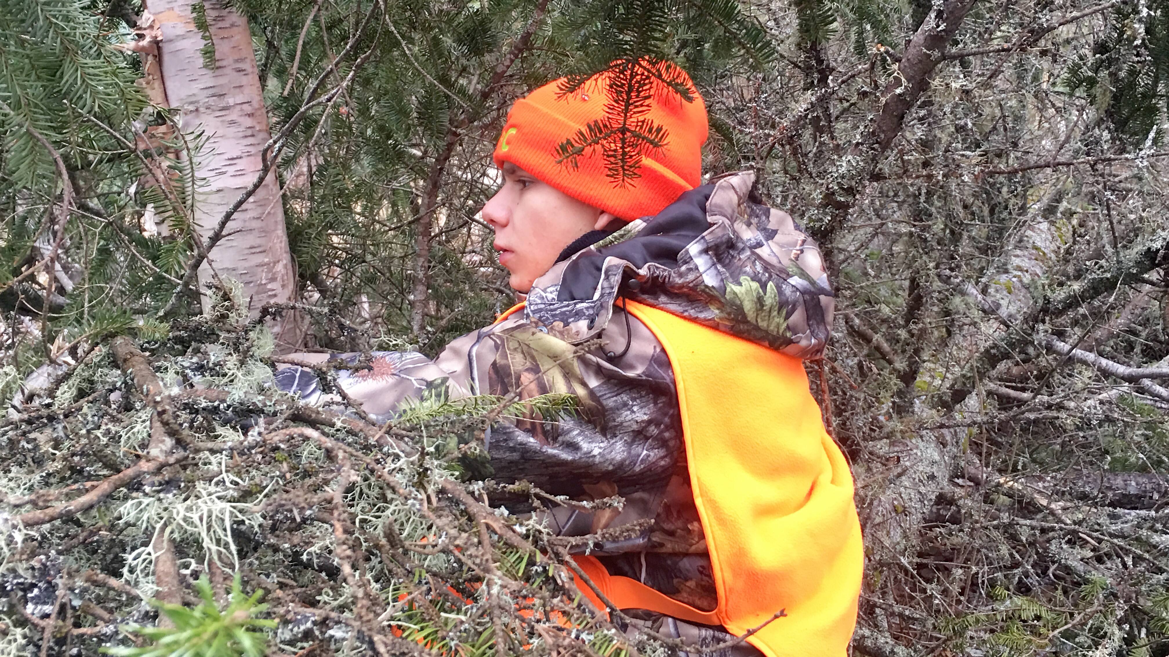 Du nouveau pour la chasse au chevreuil | JDQ