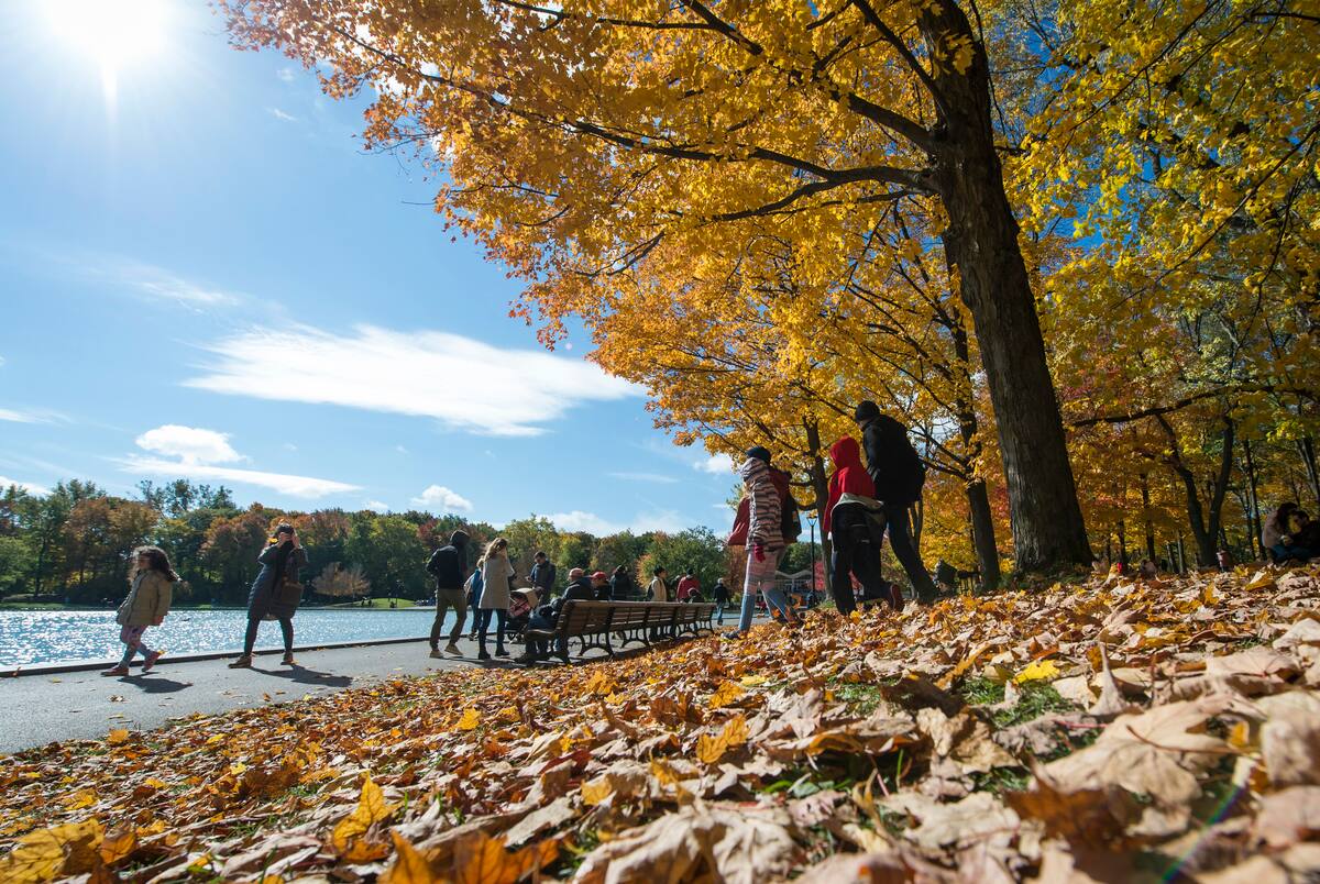 Températures clémentes: de nombreux records de chaleur au Québec pour ...