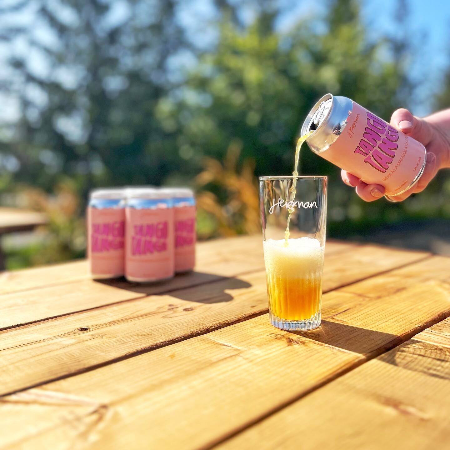 Les 7 meilleures microbrasseries du Québec à découvrir absolument | JDM