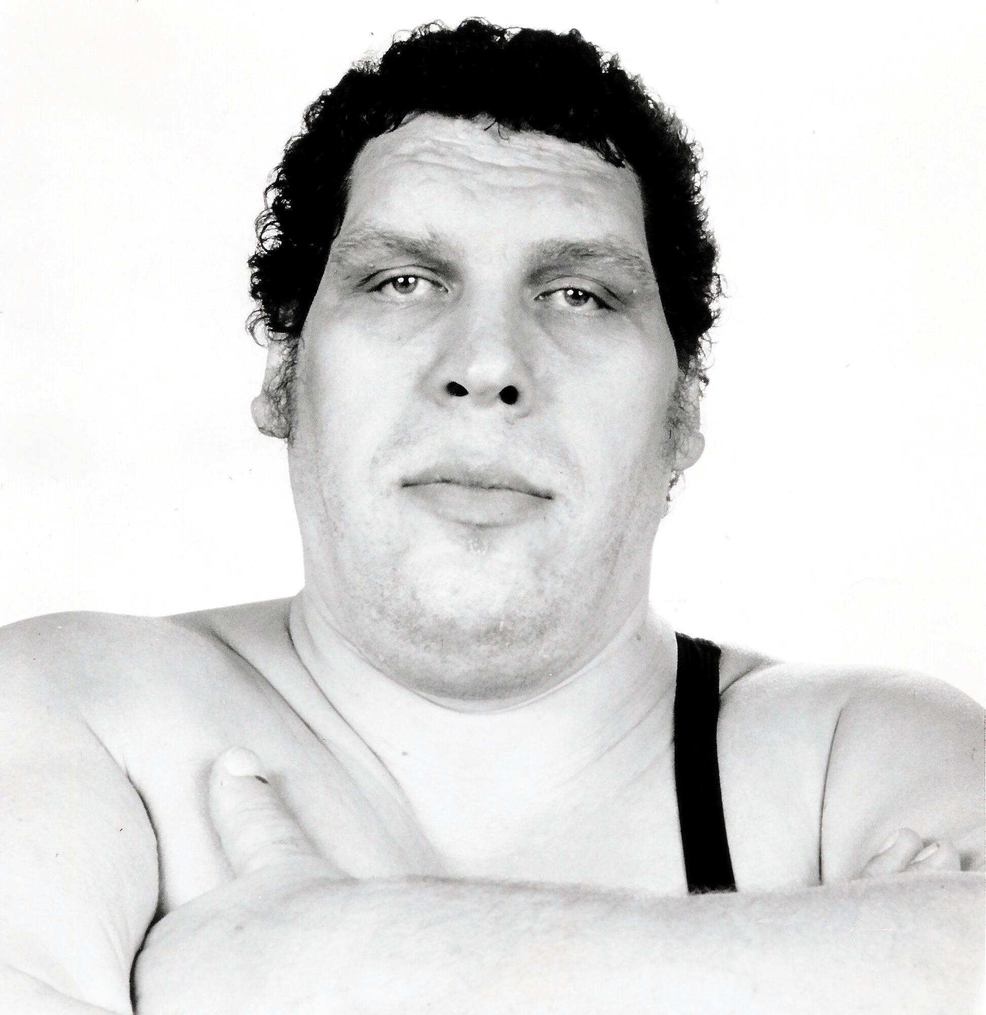 Voyage fascinant dans la vie d’un géant | JDQ