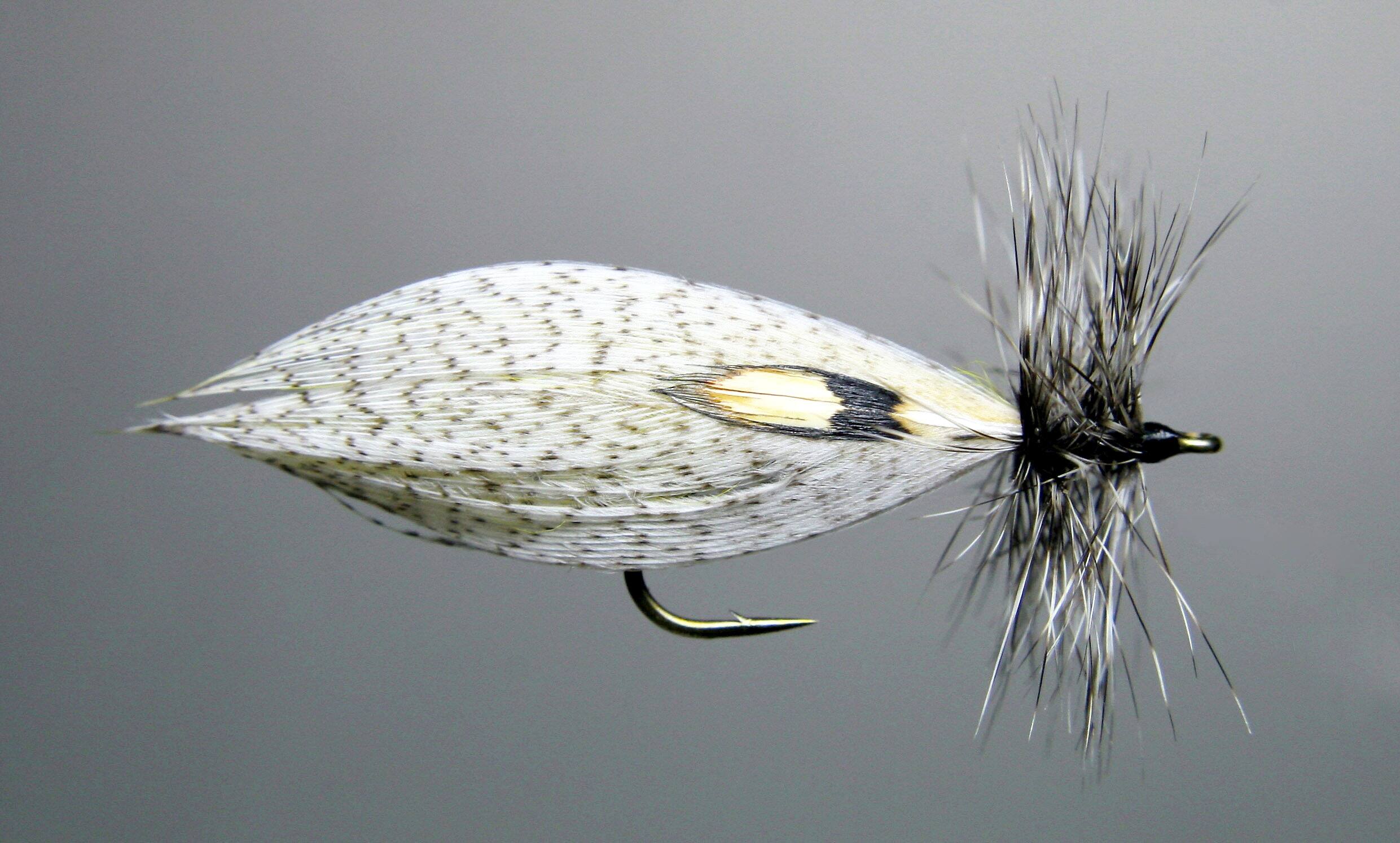 Mouches efficaces pour déjouer les mouchetées | JDM