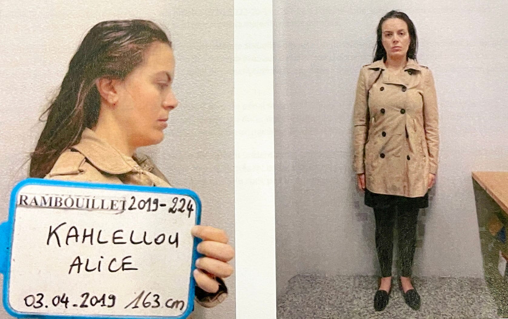 Un «bon plan» qui était de la fraude: une arnaqueuse française arrêtée ...