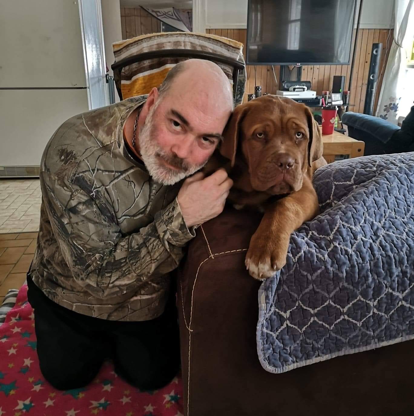 Vice caché: cet éleveur devra payer pour l’euthanasie de Paco | JDM