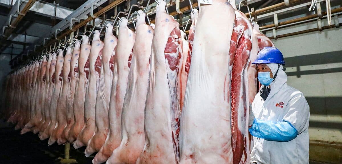 Contre l'inflation, la Chine pioche à nouveau dans ses réserves de porc ...