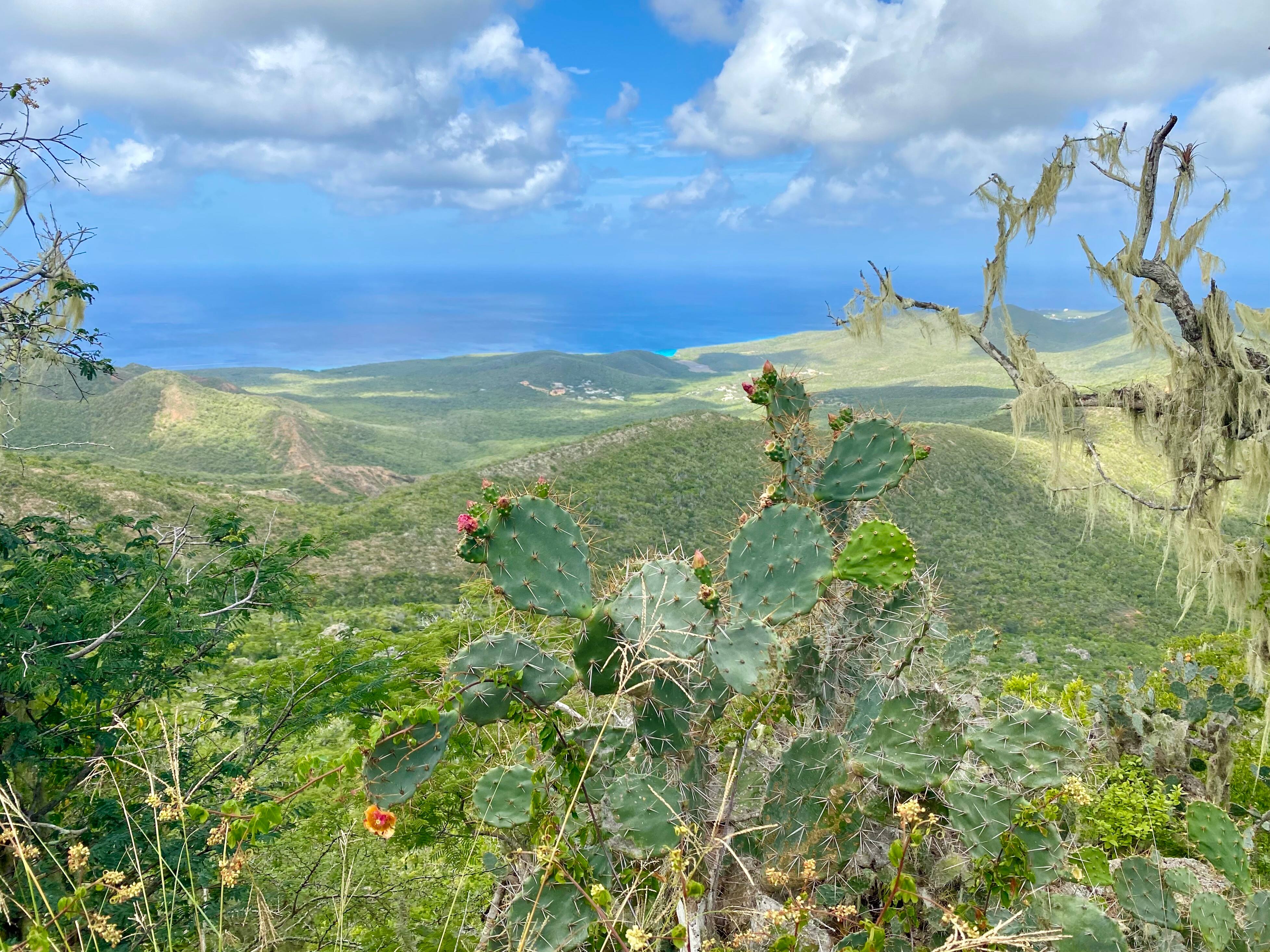 Curaçao pour les amoureux de la nature | JDM