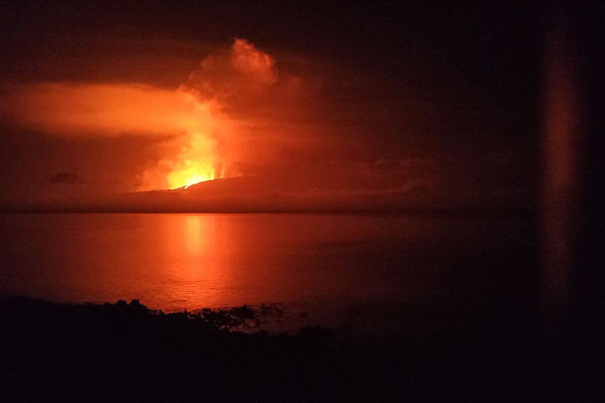 Un volcan entre en éruption sur une île inhabitée des Galapagos | JDM